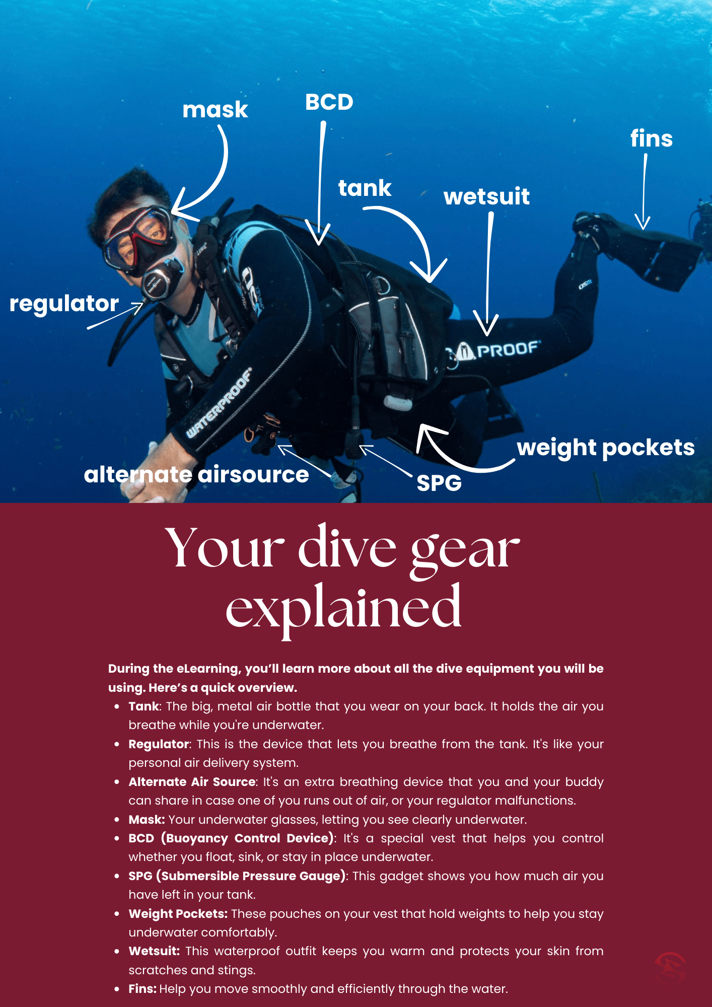 Free Downloads — Scuba Elite | PADI dive shop Bonaire