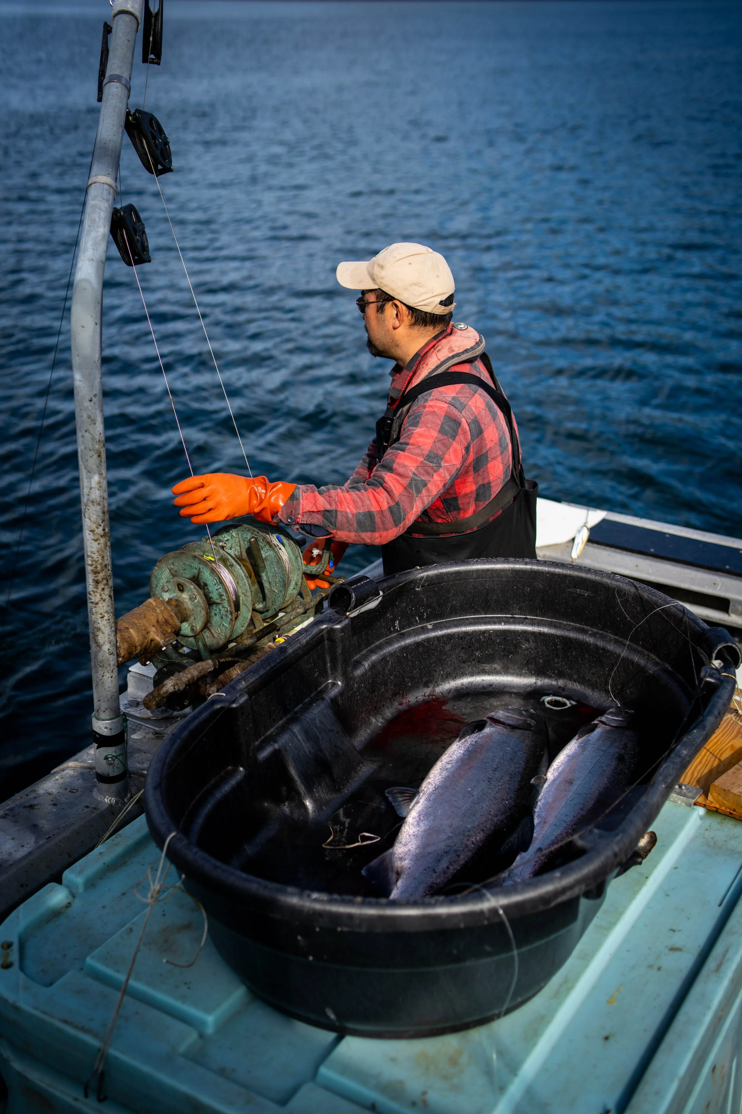 Tad Fujioka — SalmonState