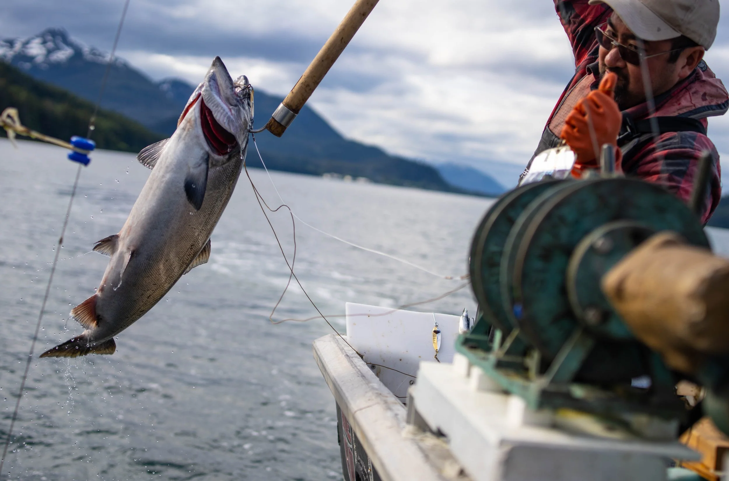 Tad Fujioka — SalmonState