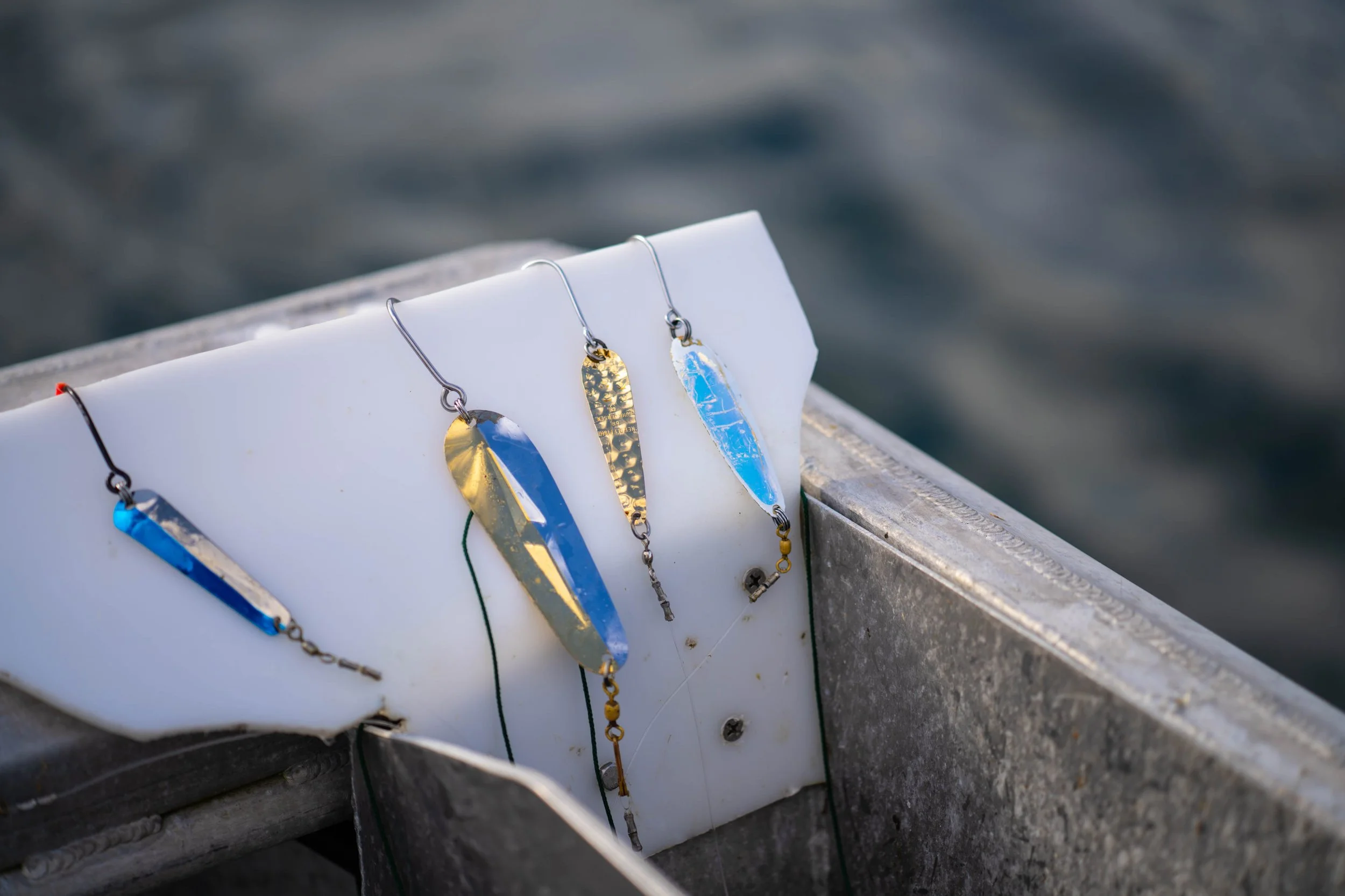 Tad Fujioka — SalmonState