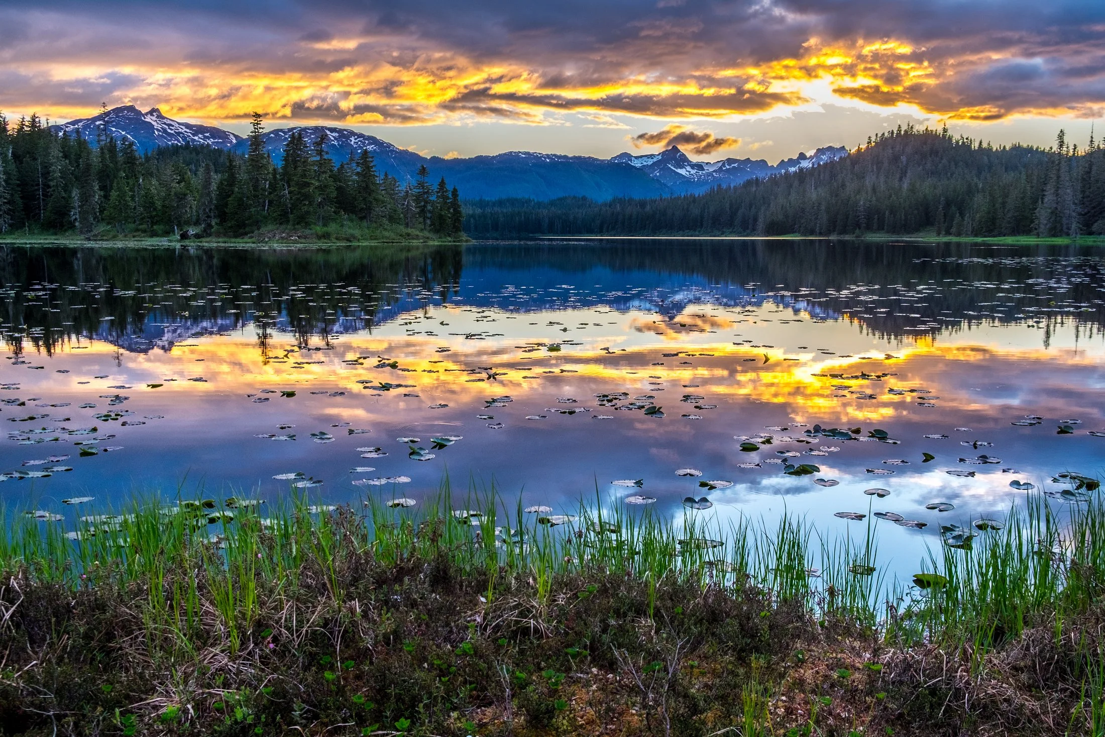 Bear man of Admiralty Island Allen Hasselborg — and Climate Change ...