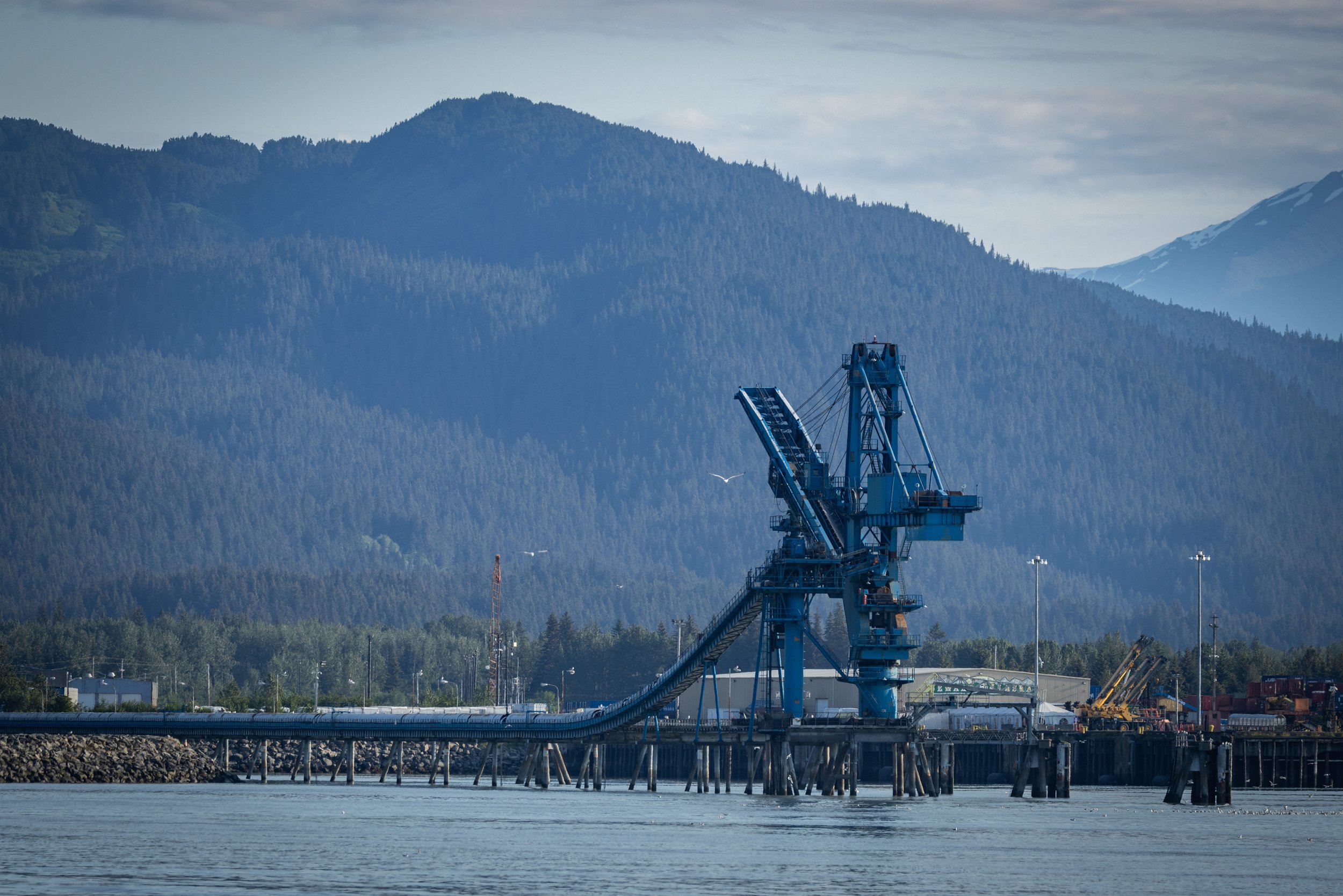 Reports — SalmonState