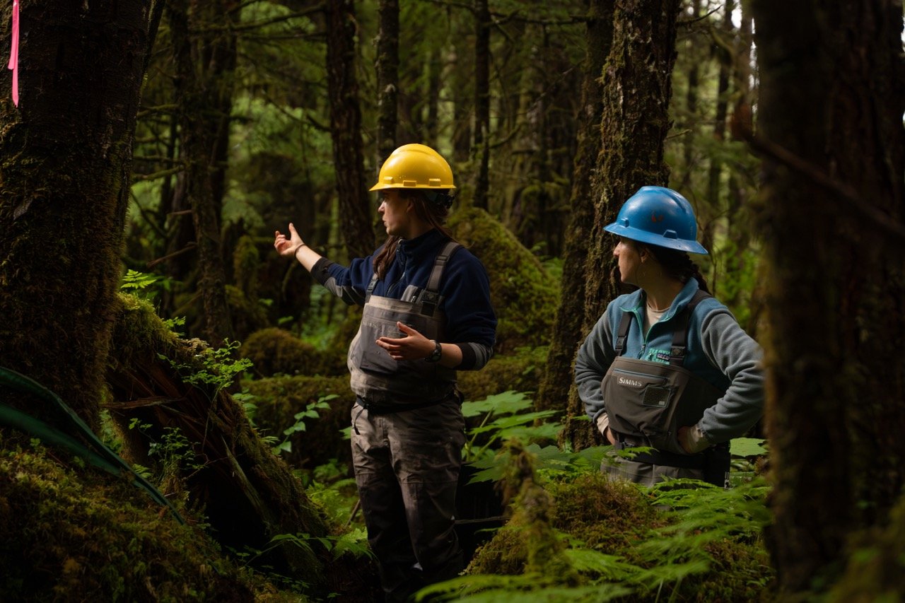 Tongass Draft Assessment — SalmonState