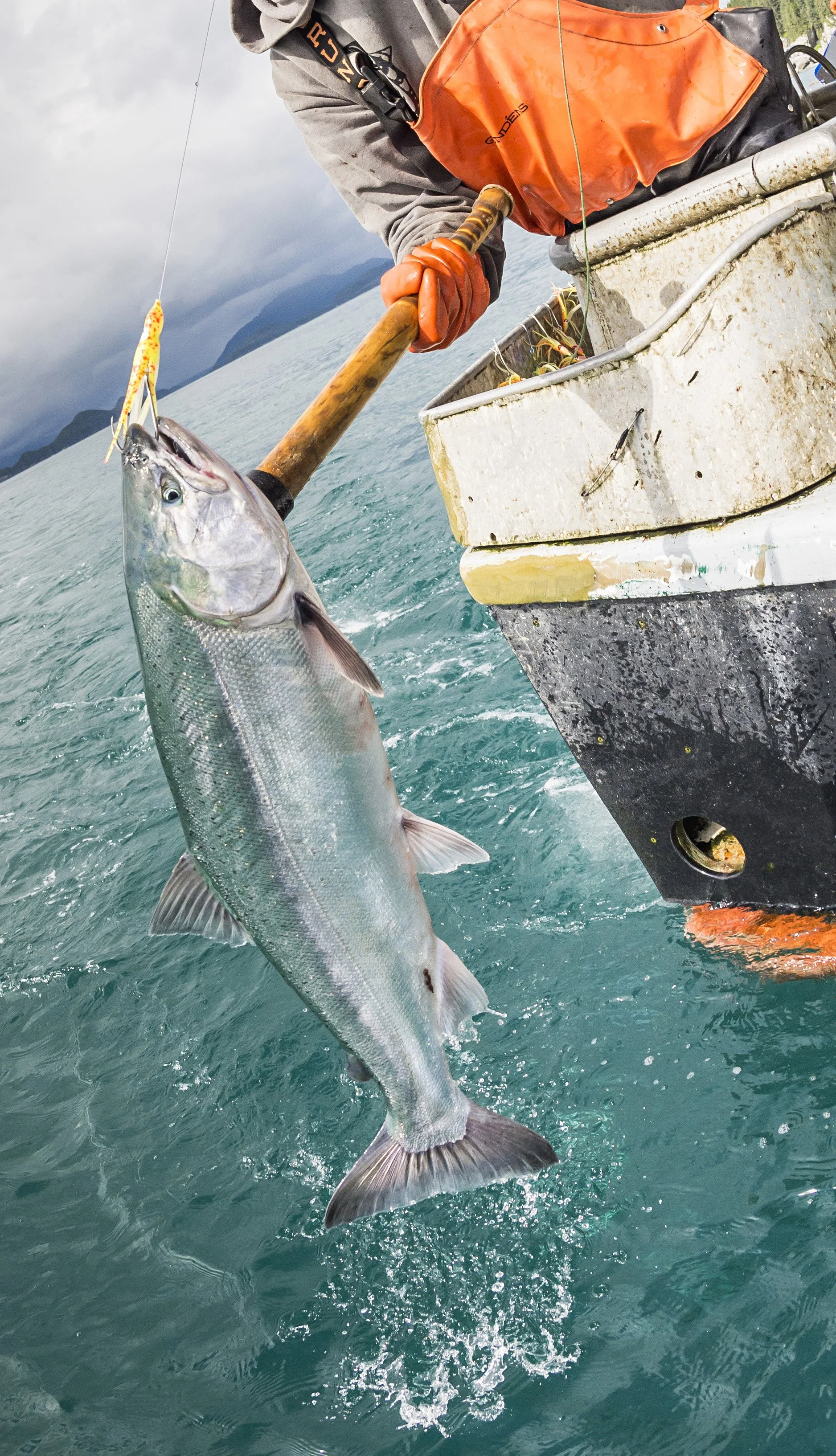 Our Mission — SalmonState