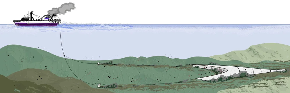 Stop Wasteful Trawl Bycatch — SalmonState