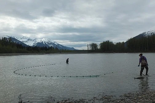 A trip on the transboundary Stikine River — SalmonState