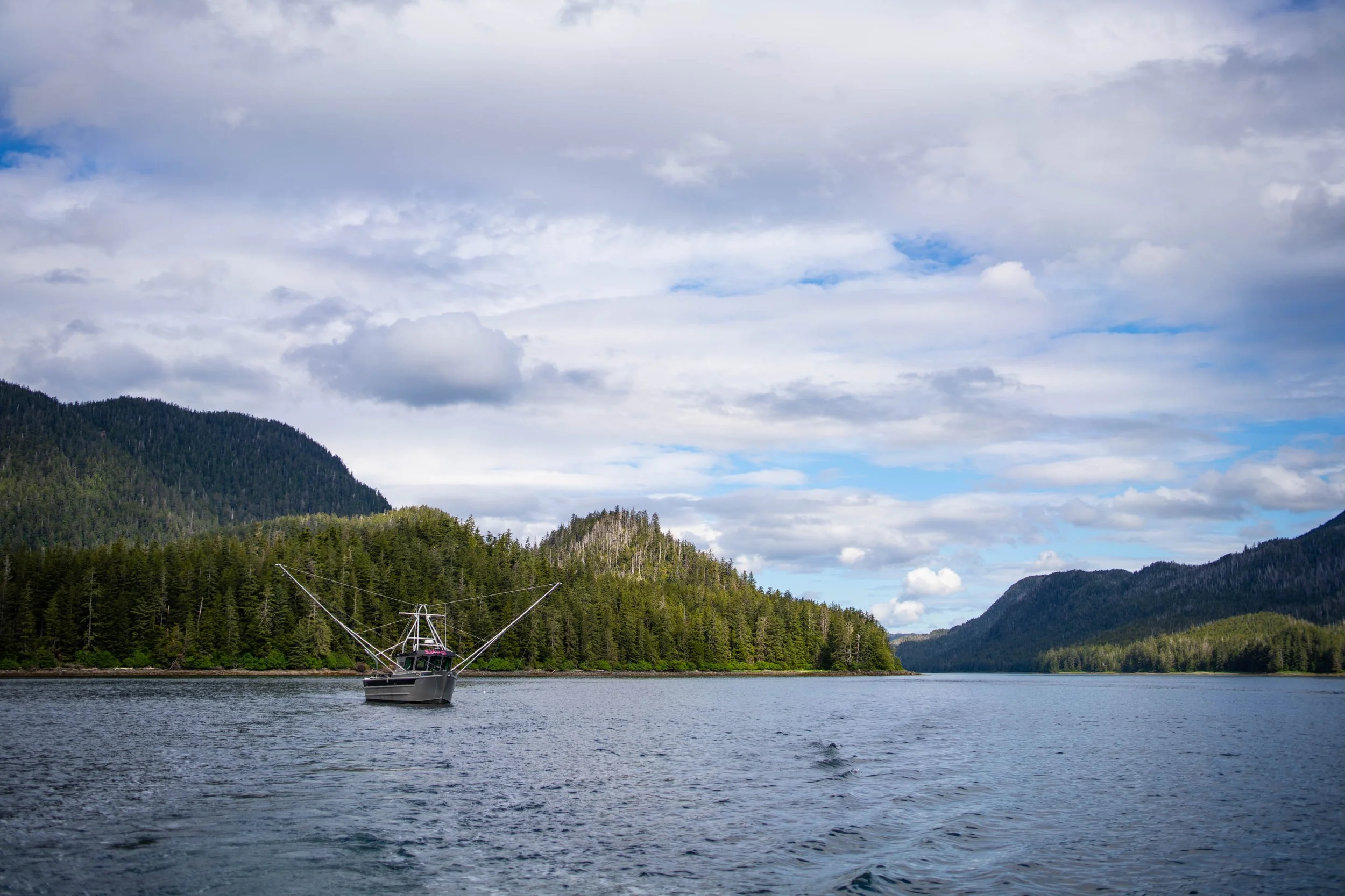 Top 10 Salmon Moments of 2024 — SalmonState