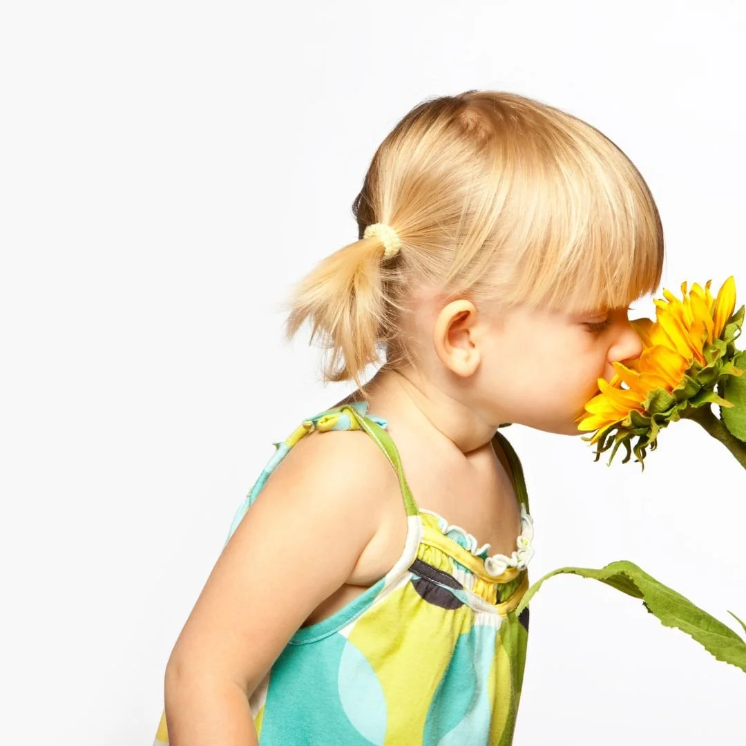 Sensory Integration: Understanding the Power of the Eight Senses