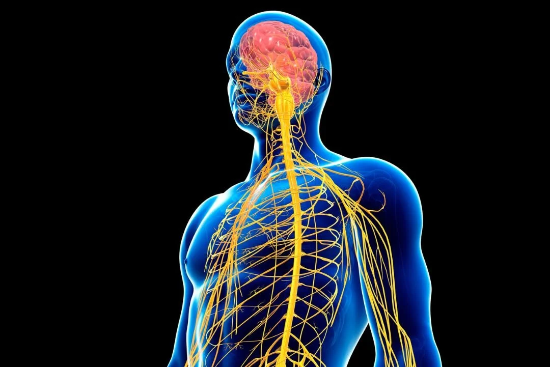 NDIS Physiotherapy To Improve Quality of Life for Neurological Disabilities