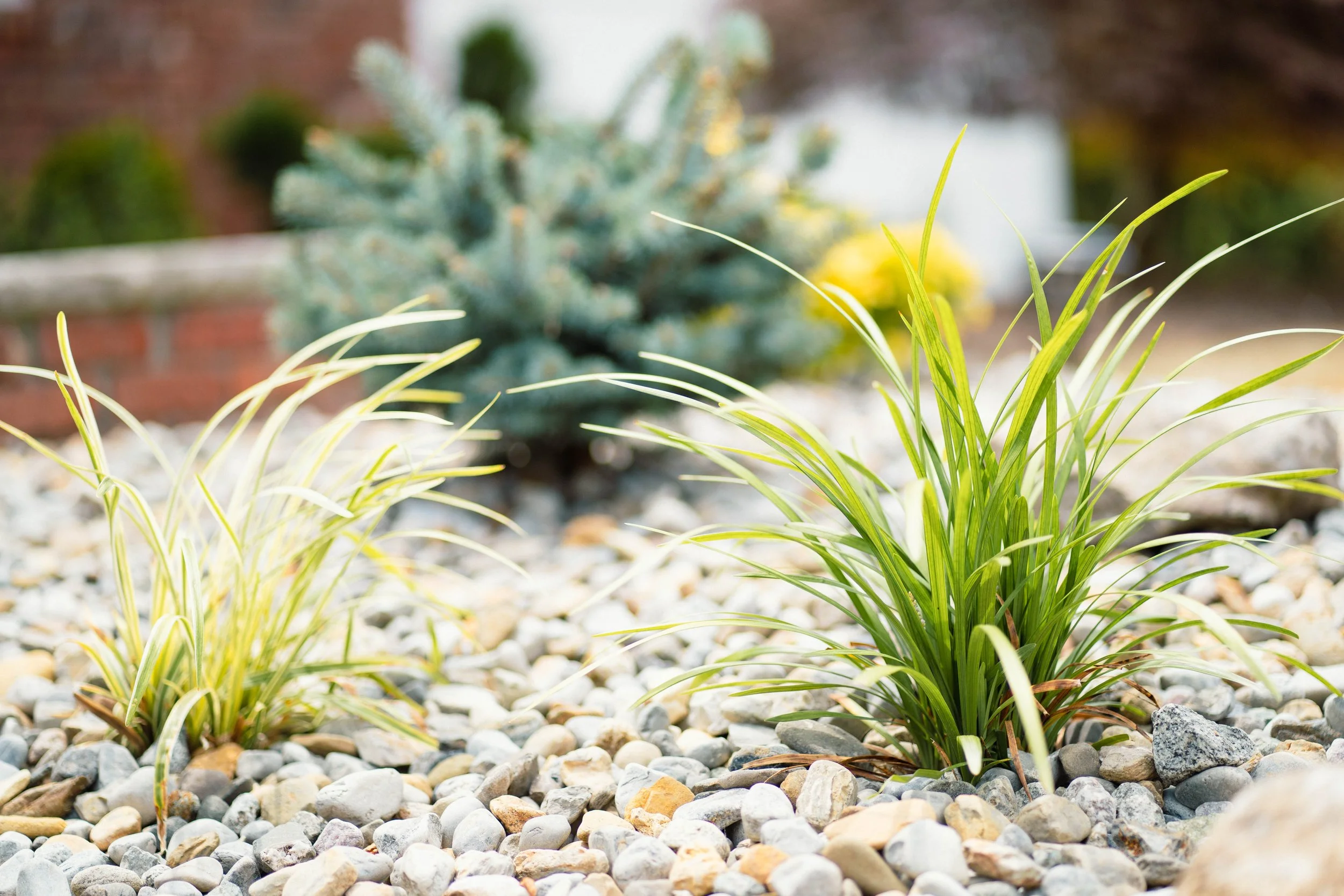 Landscaping — Modern View Landscaping