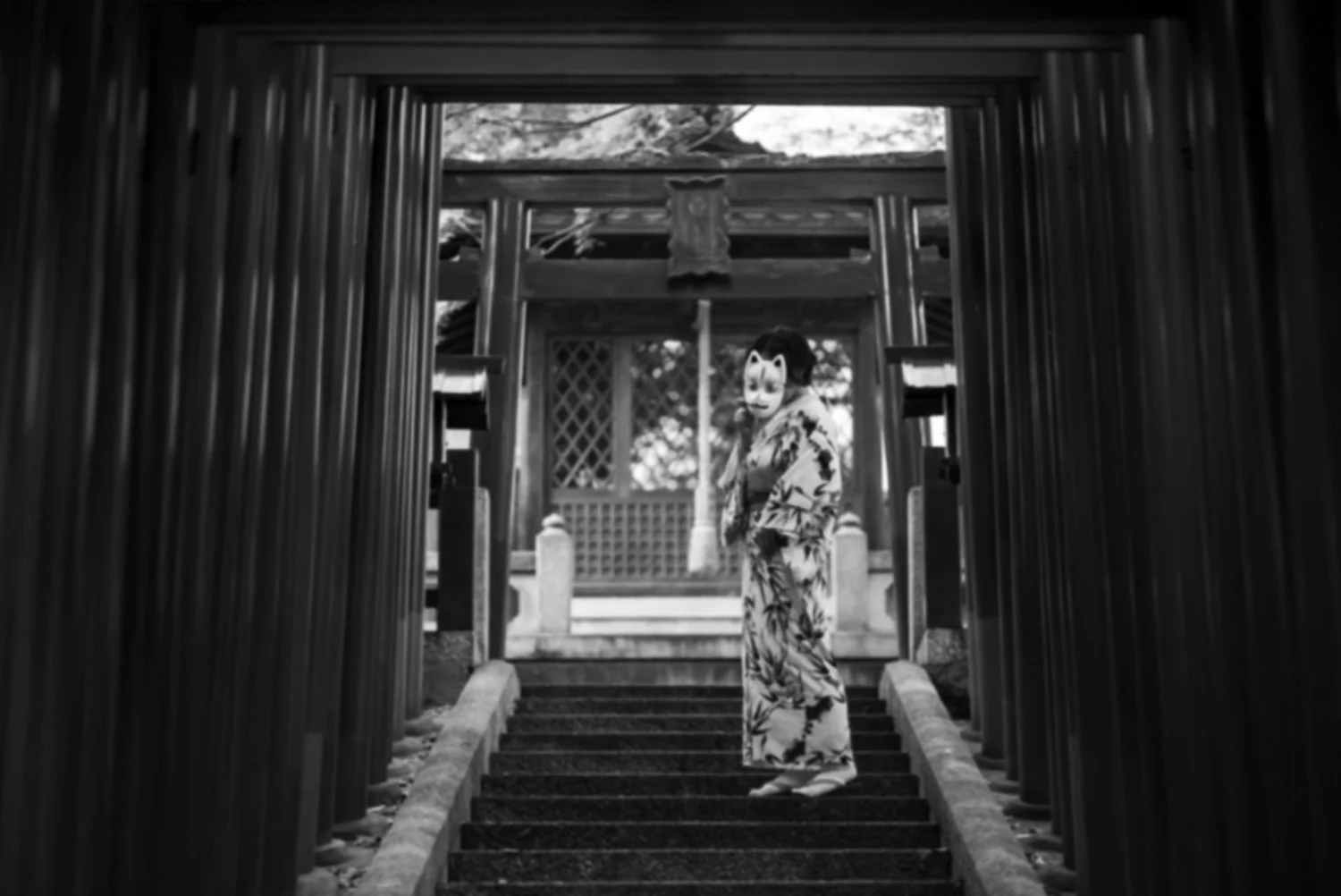 Inari Express — Tiger Lane