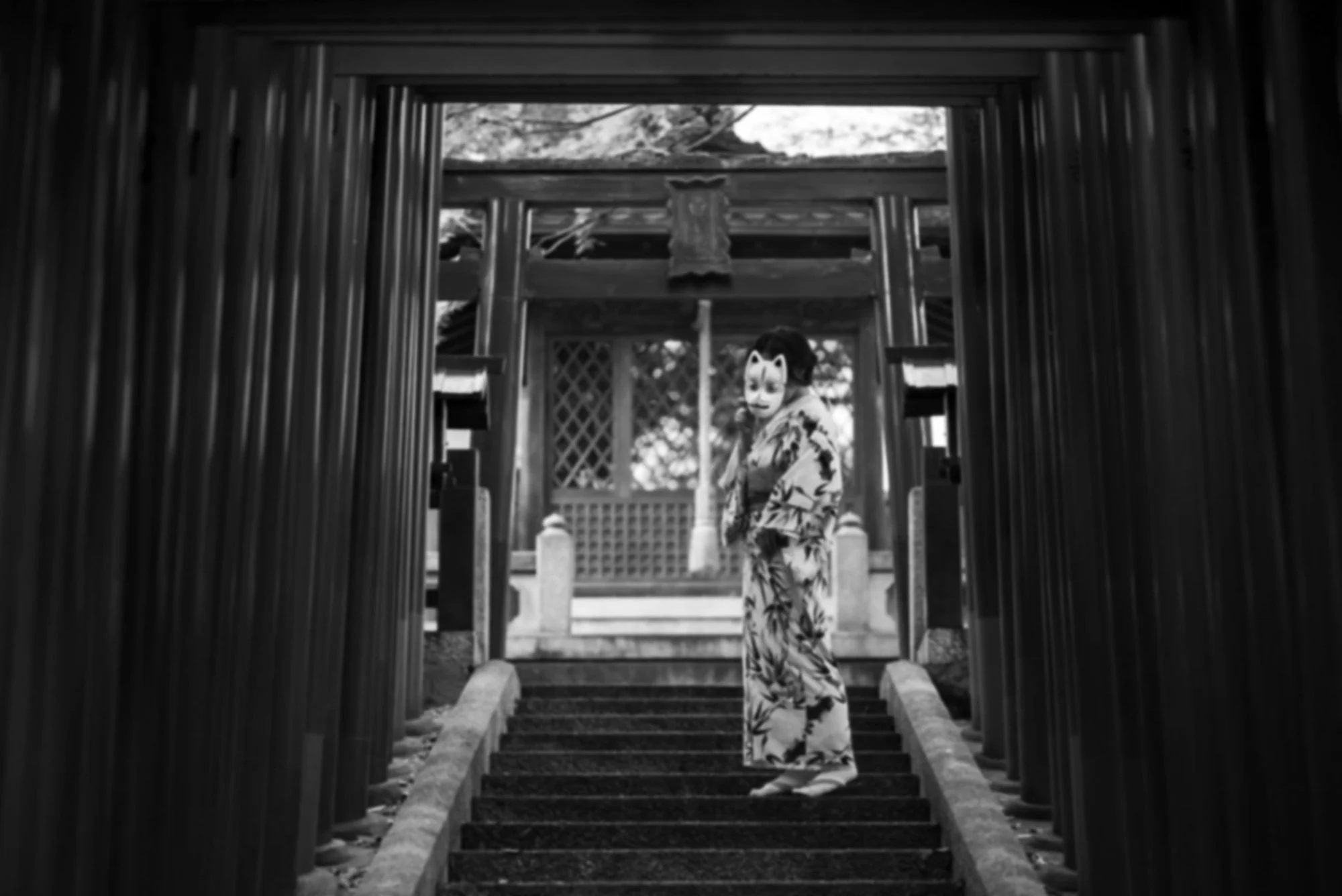 Inari Express — Tiger Lane