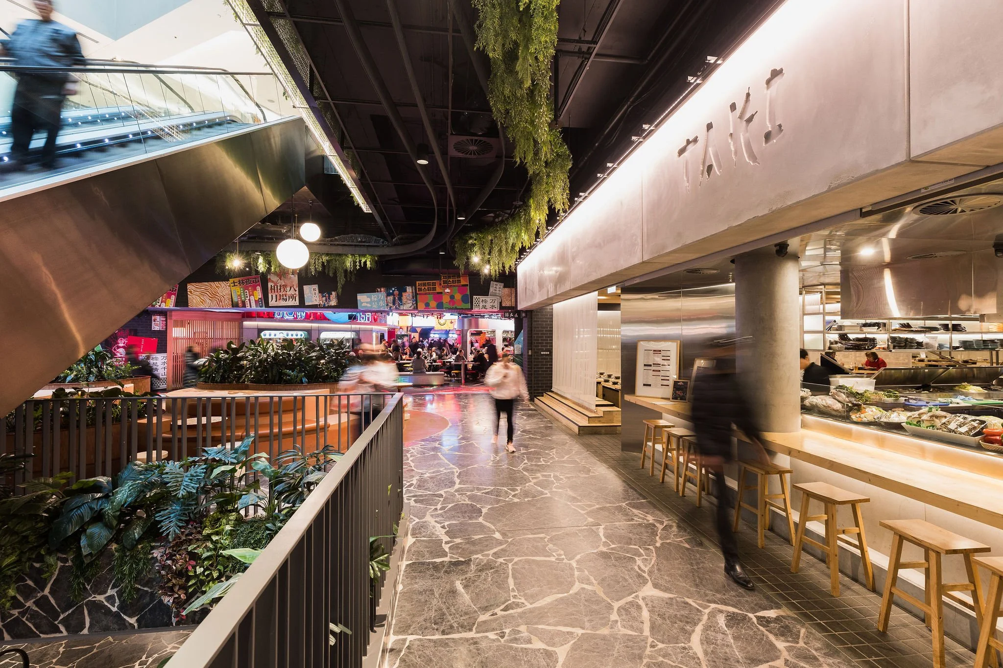 Gallery 2 — Tiger Lane