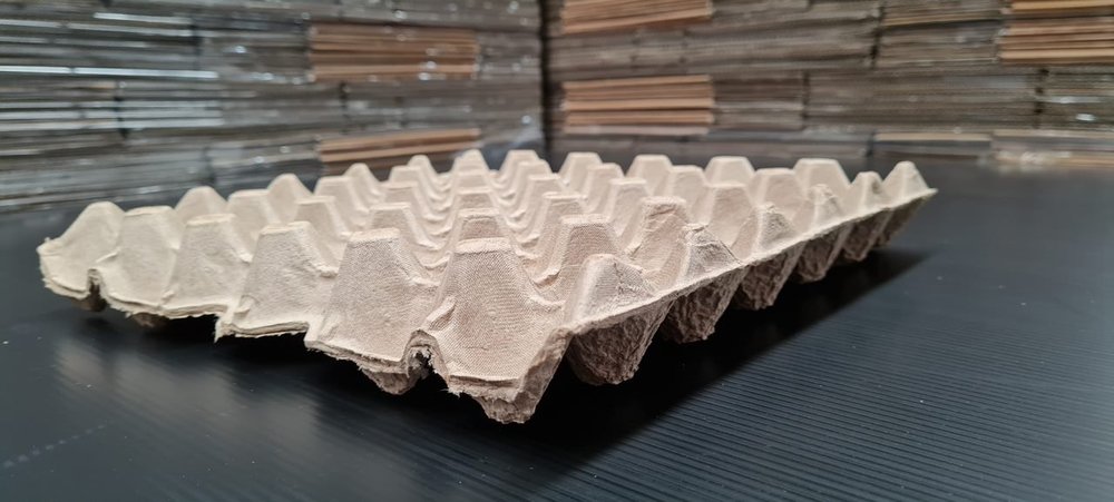 Egg Packaging — Carton Warehouse