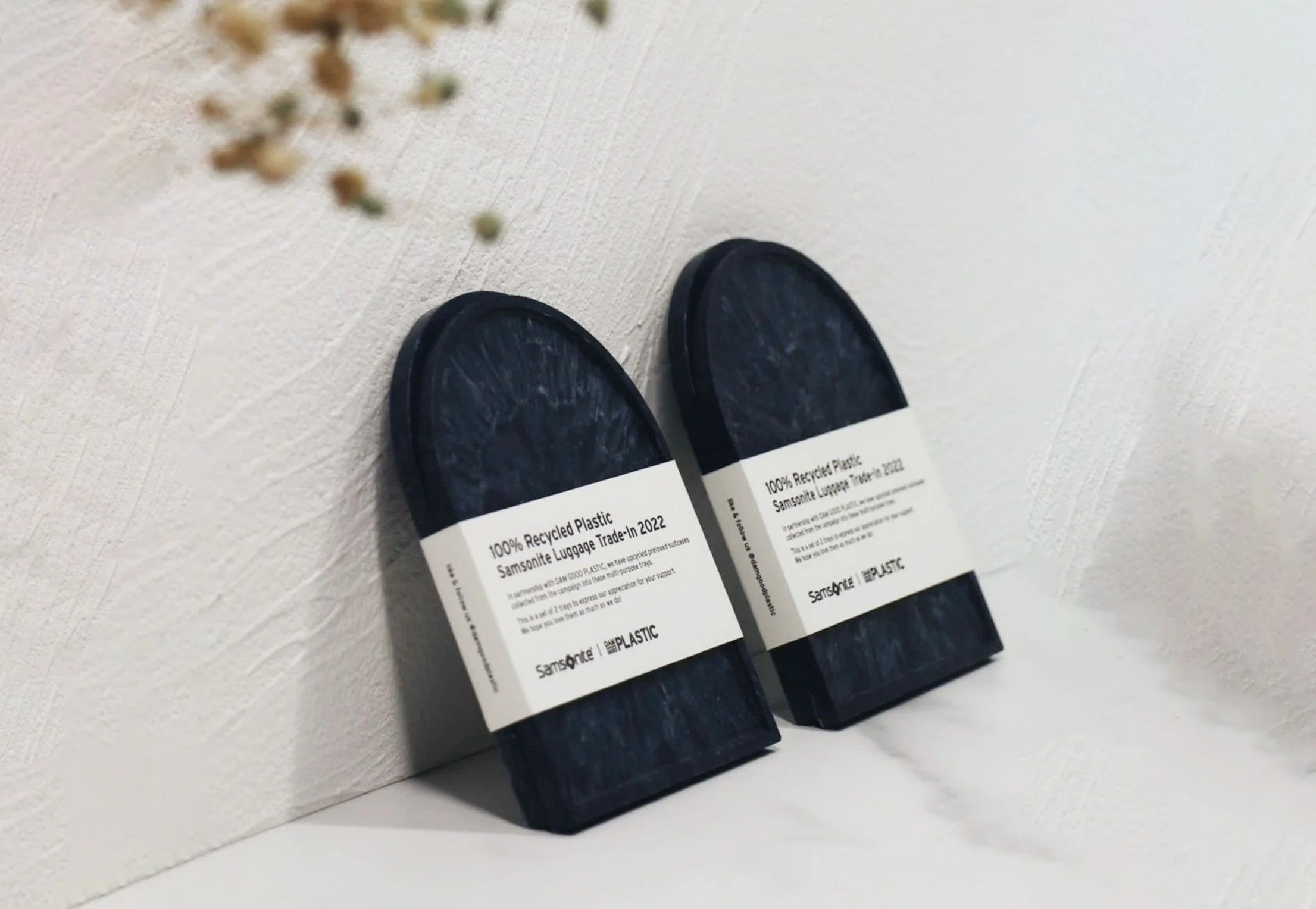 Branding Agency Singapore | STUDIO DAM Design