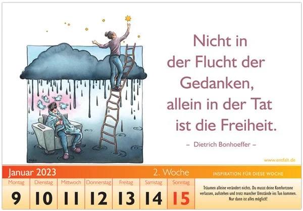 entfalt Kalender — Franziska Vinzis - Fotografie & Illustration