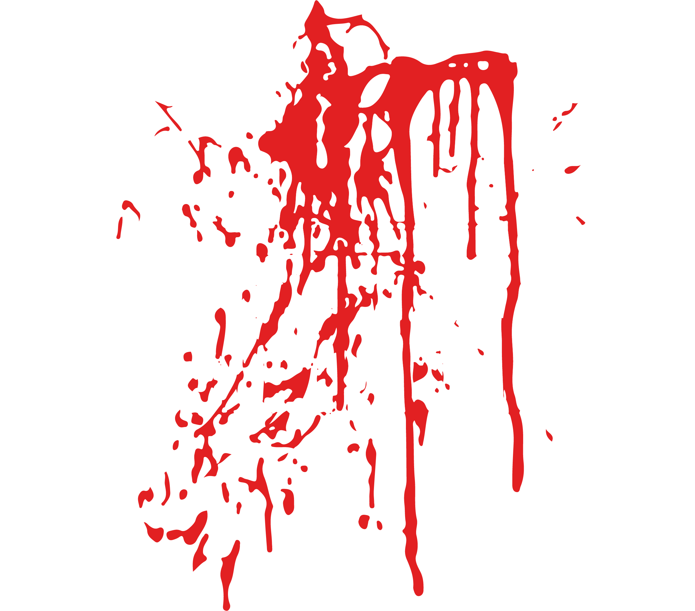 The Countess of Fife