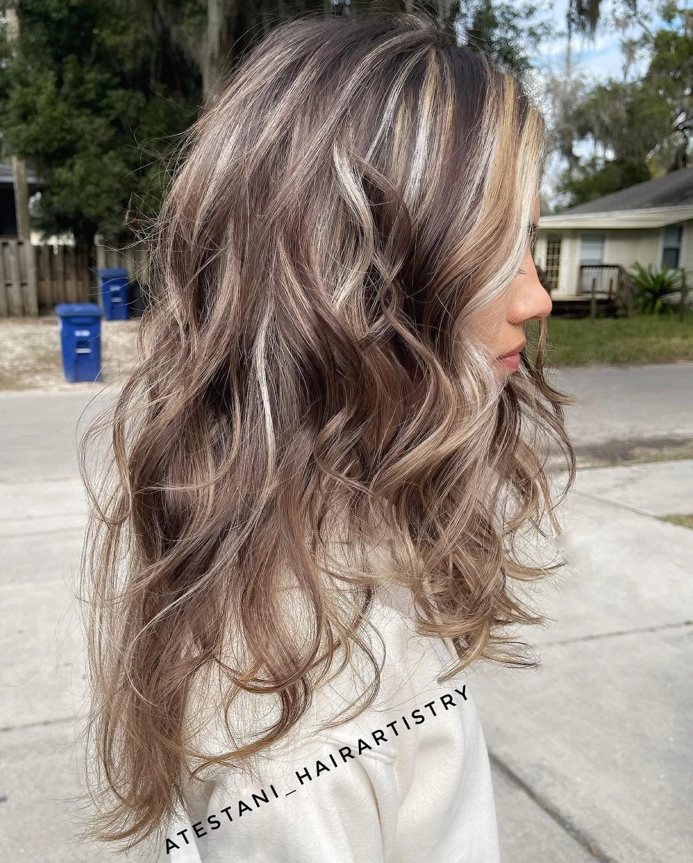 Allison Testani Hair Artistry