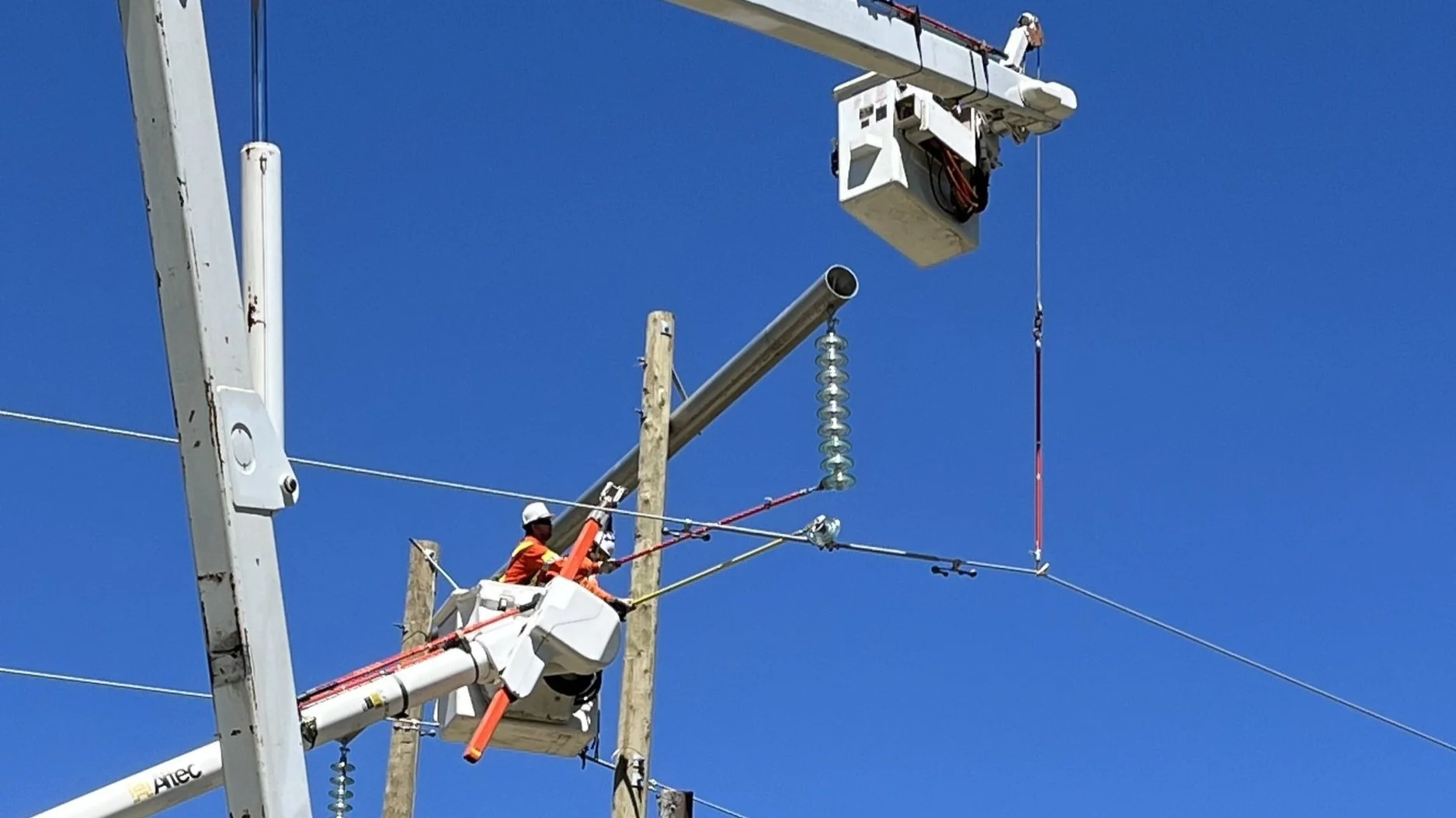 Energized Services — Maple Leaf Power Coproration