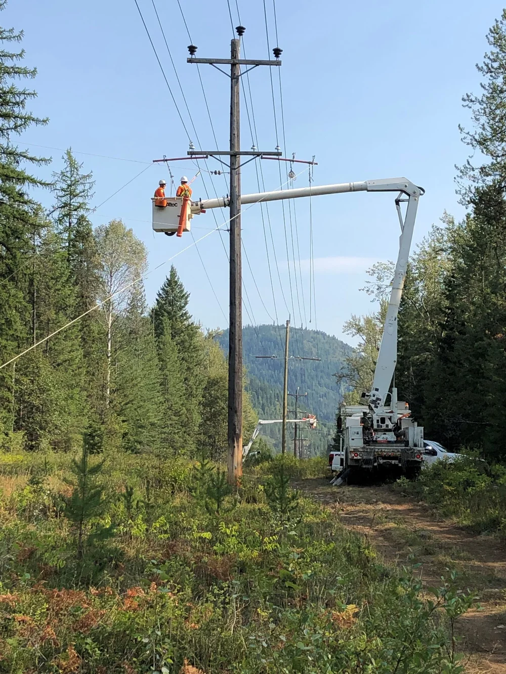 Maple Leaf Power Coproration