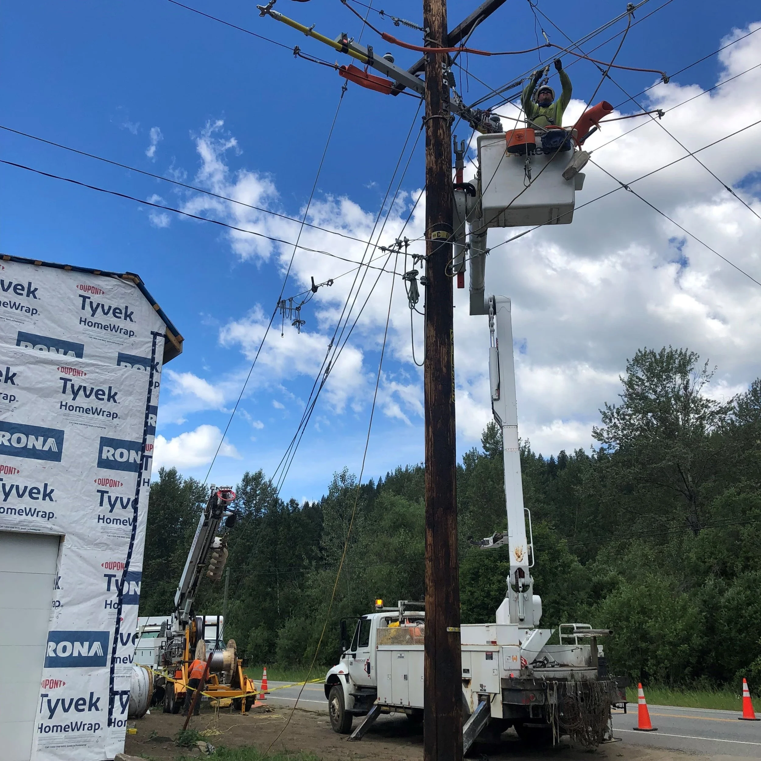 Distribution Services — Maple Leaf Power Coproration