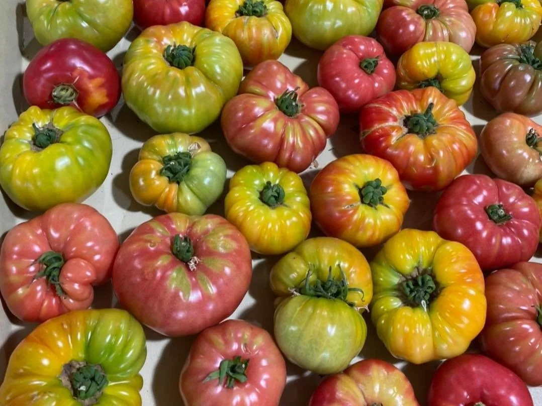 Milberger Farms | Farm Fresh Produce | Pueblo, CO