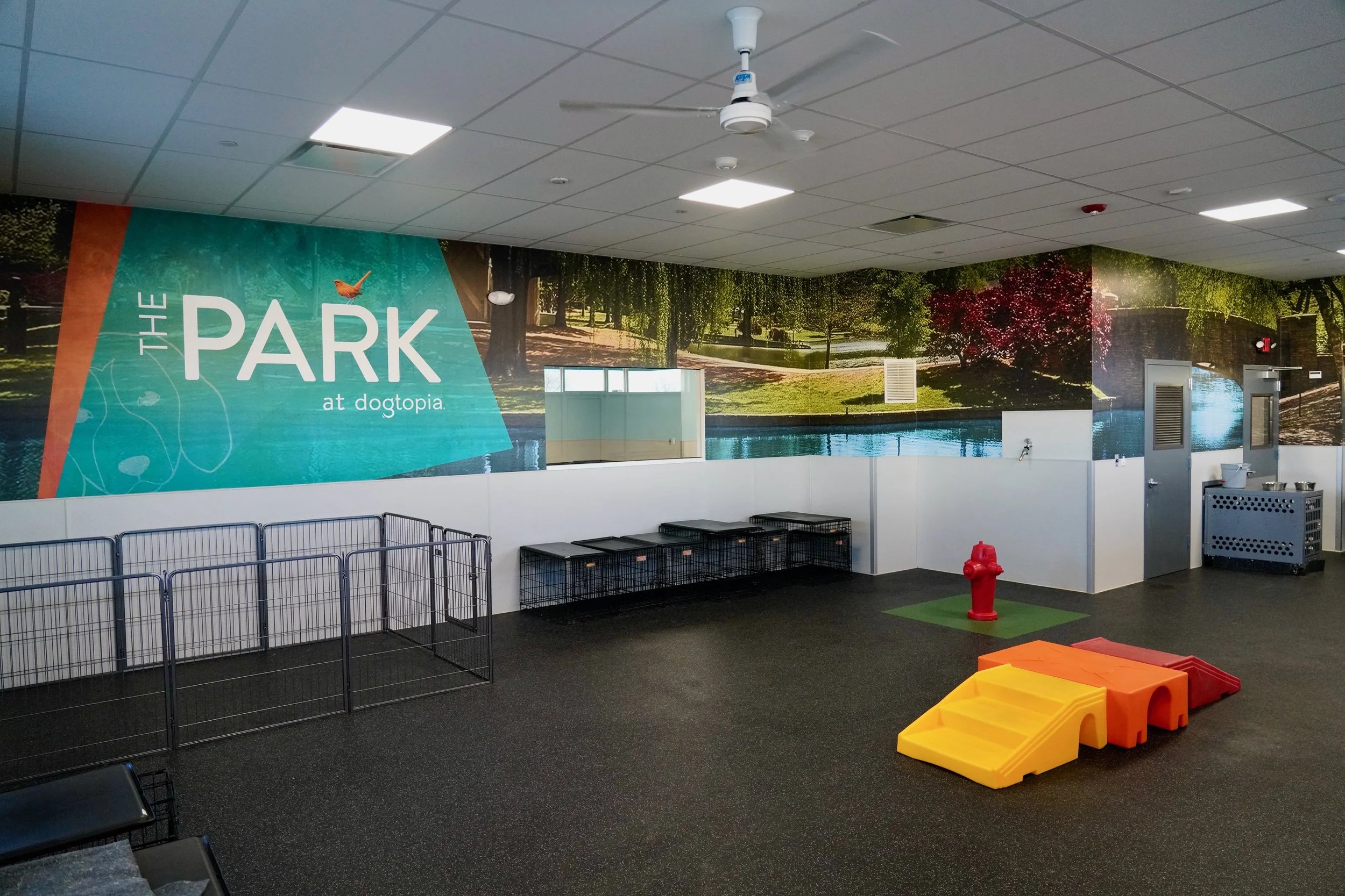 Wall Treatments — Northeast Color