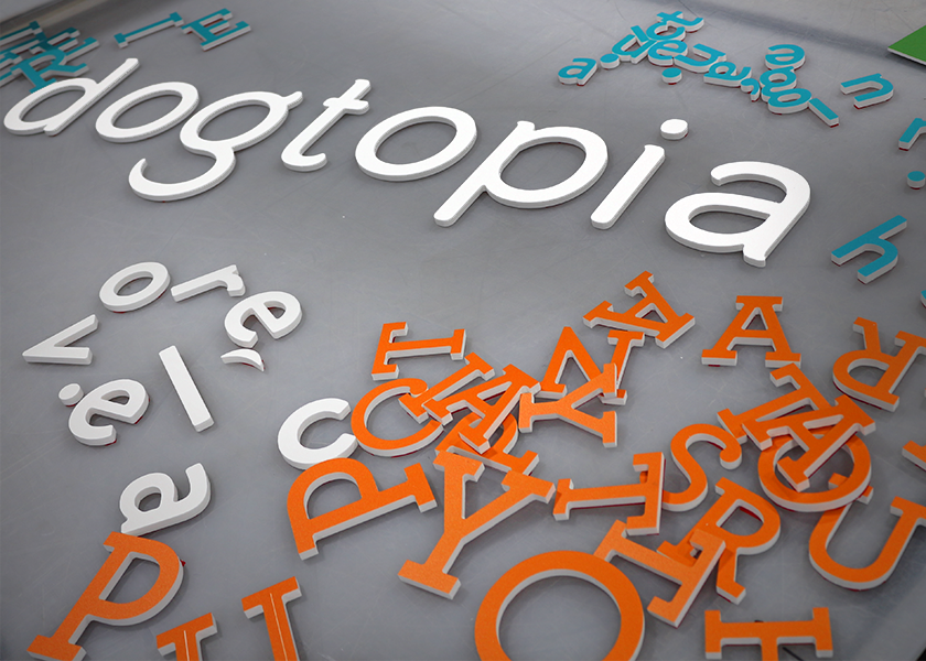 Dogtopia — Northeast Color