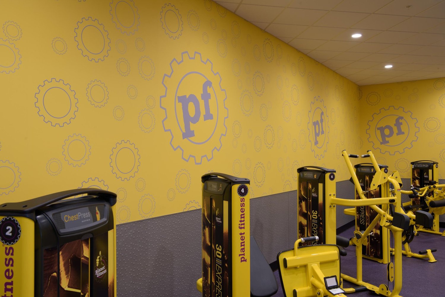 Planet Fitness — Northeast Color