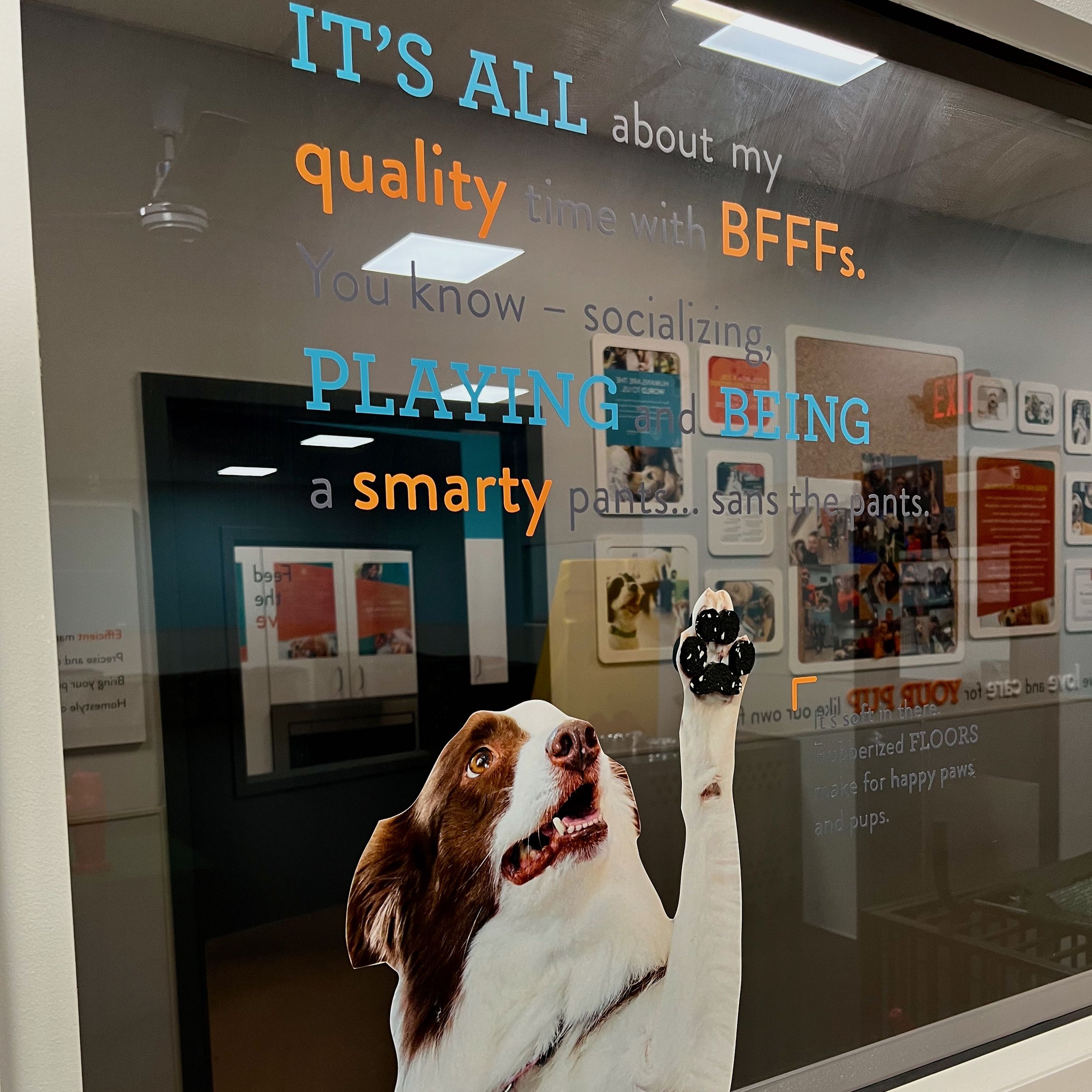 Interior Signage & Branded Decor — Northeast Color