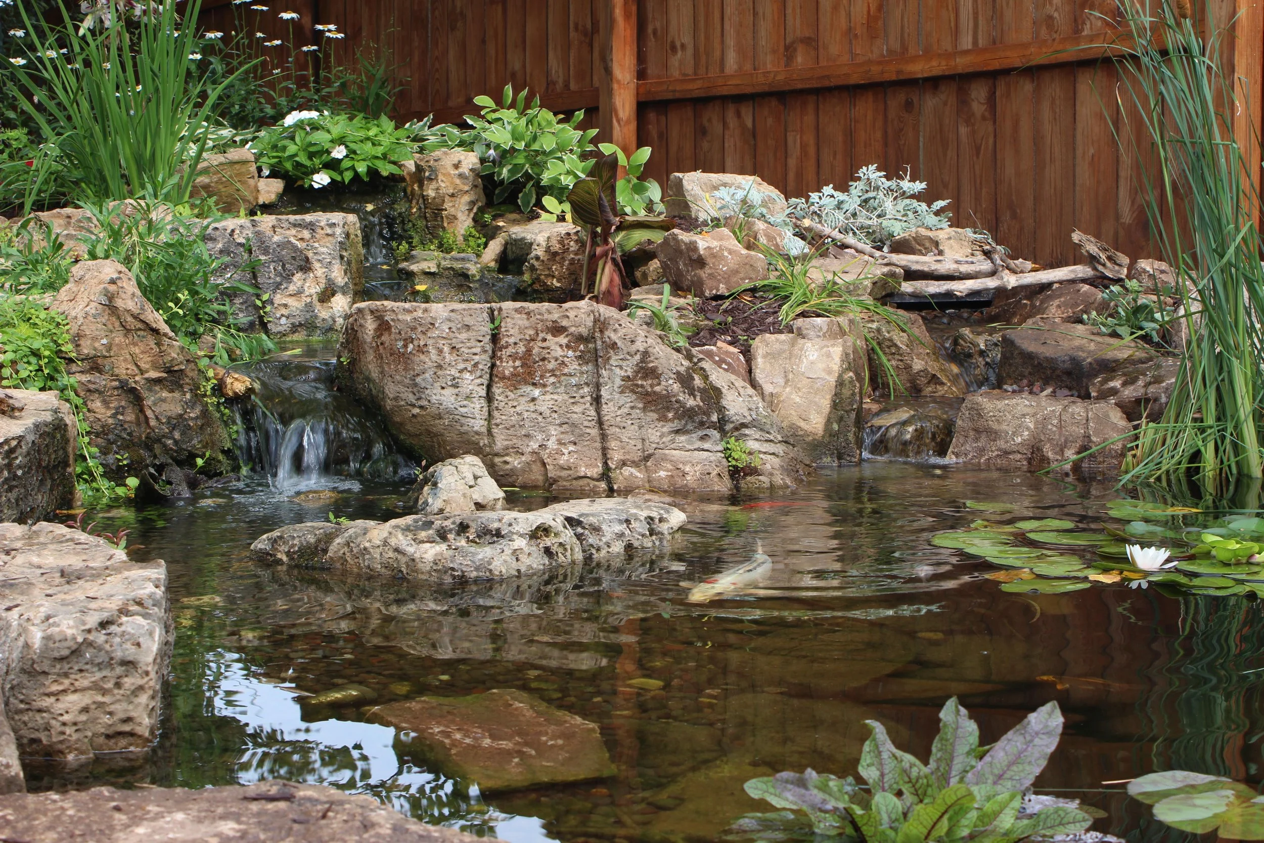 Water Features — Oasis Ponds