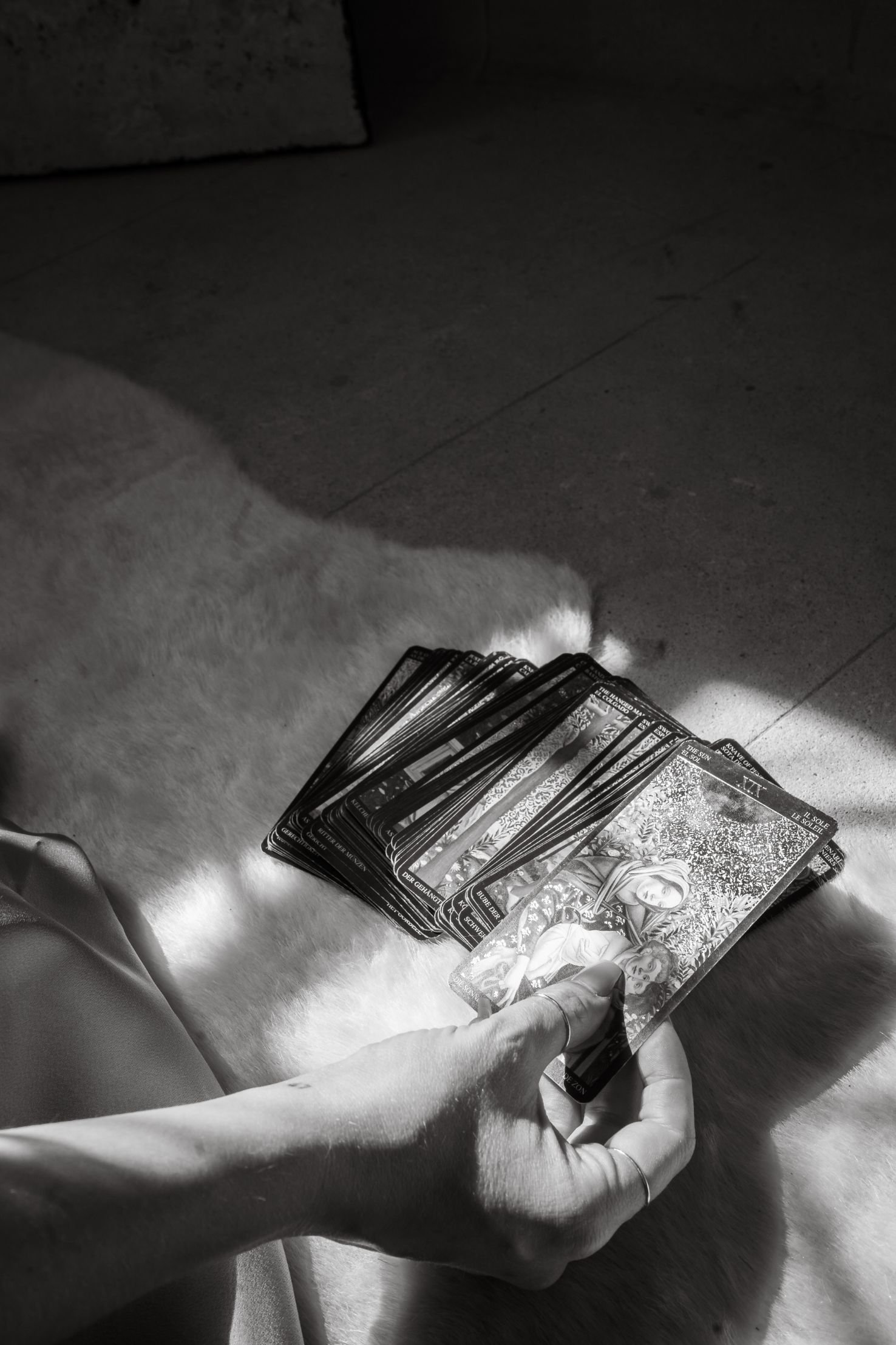 Shop — Meghan Rose