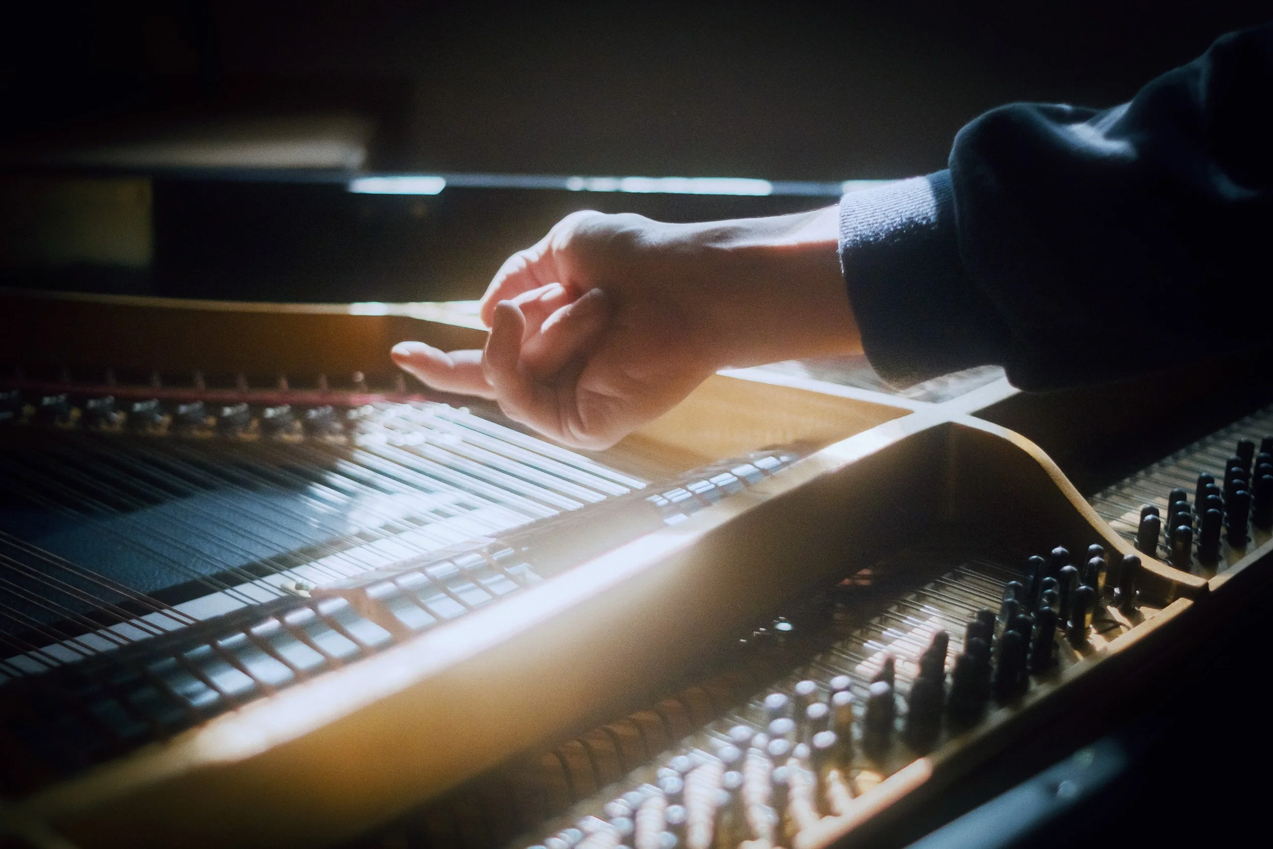 Felt Instruments — Bardzo