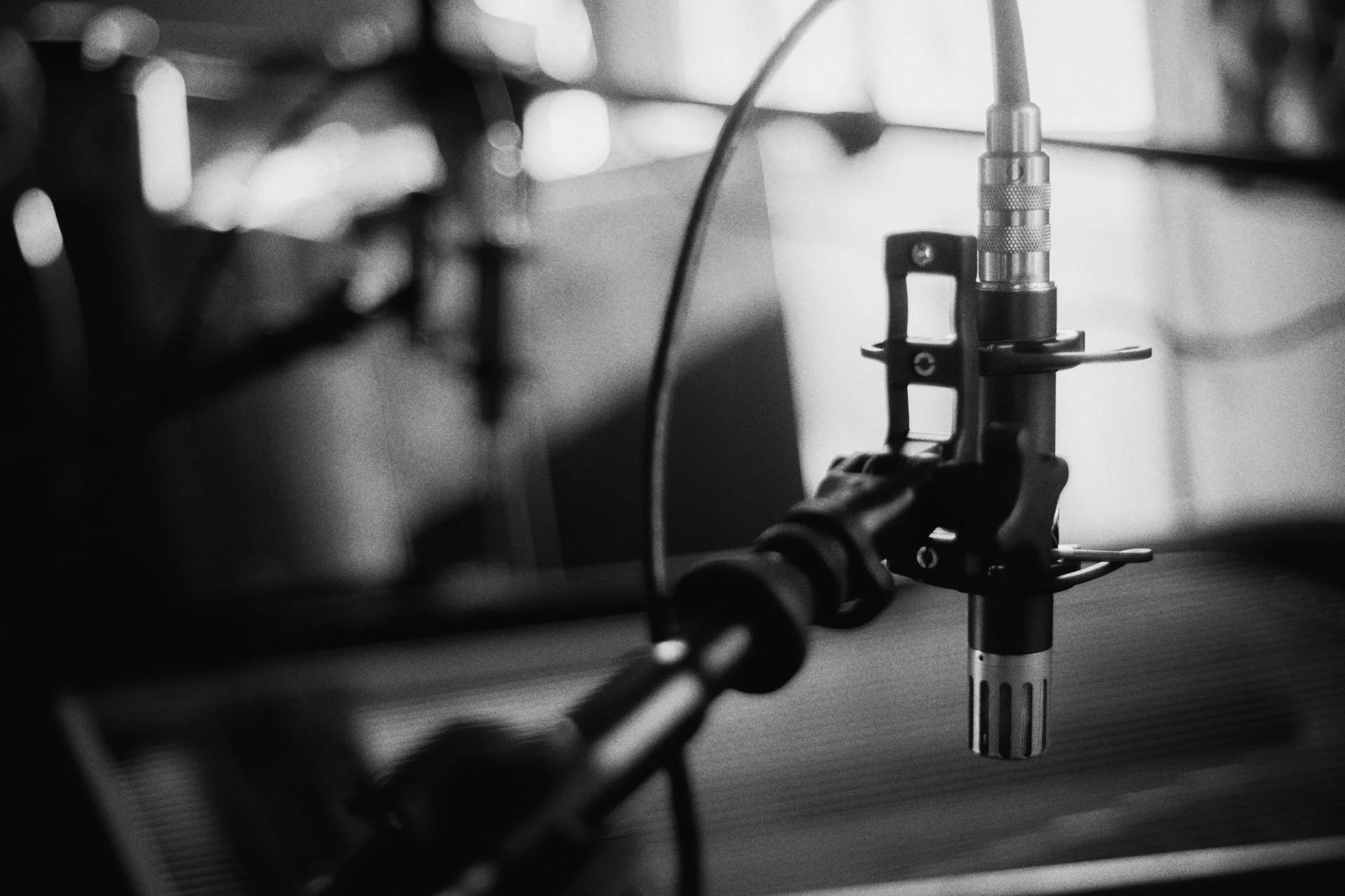 Bardzo — Felt Instruments