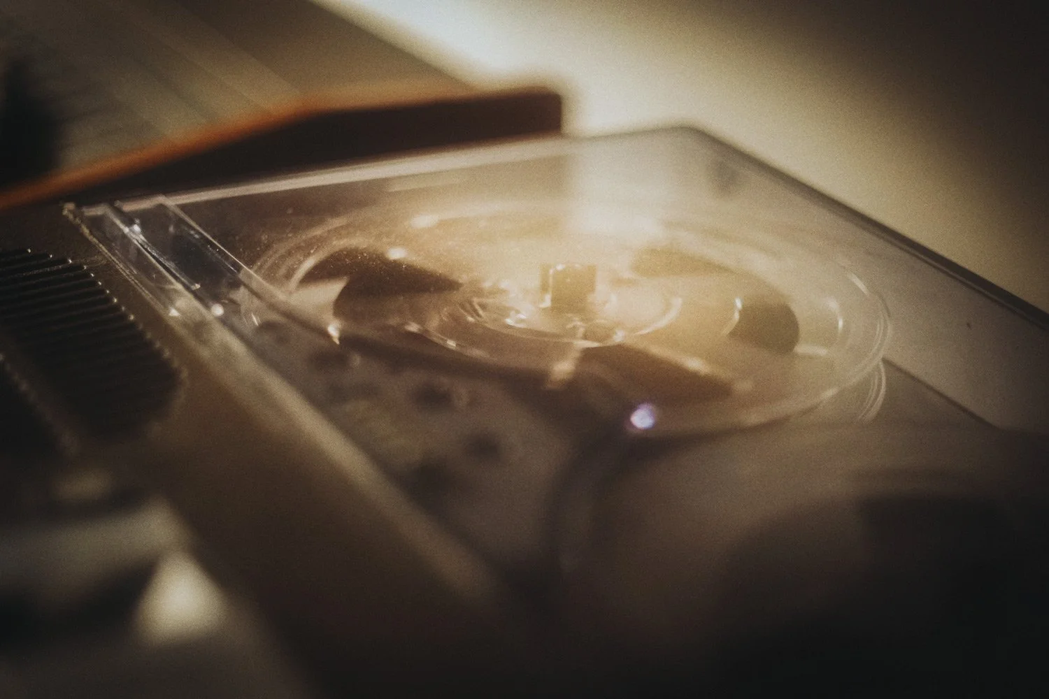 Felt Instruments — Lekko