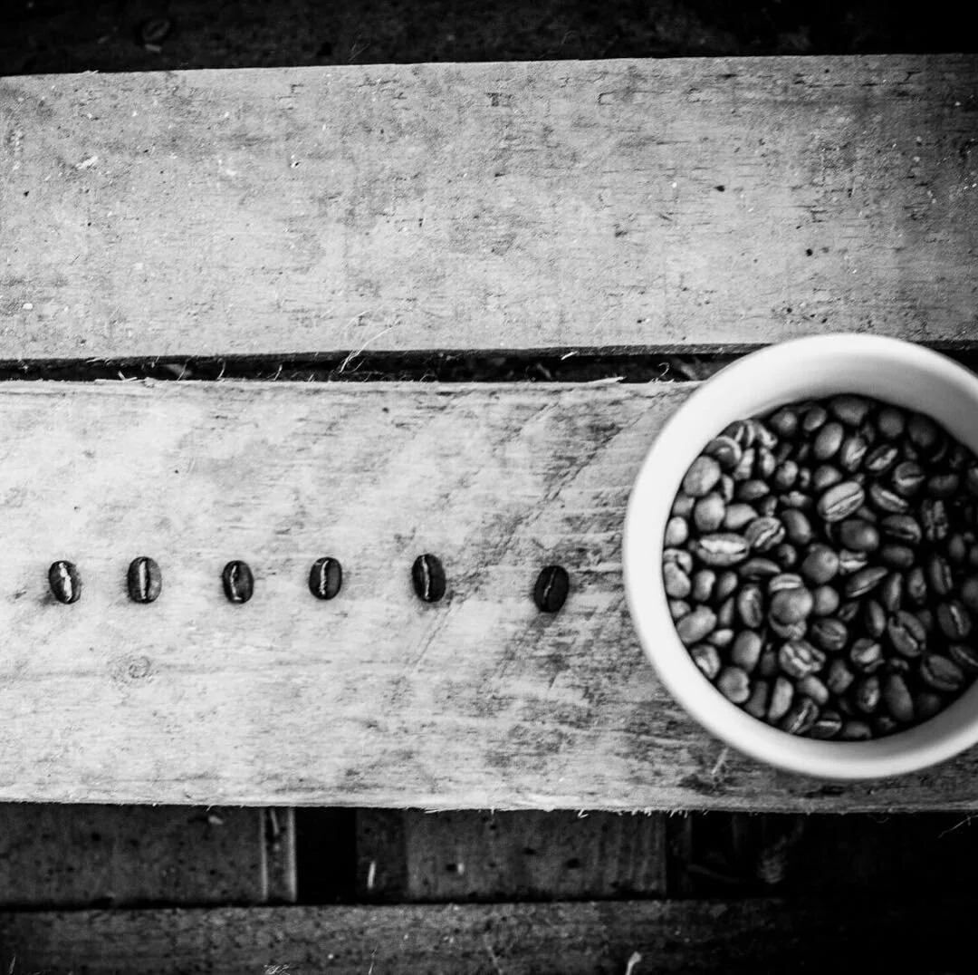 Primo Artisan Coffee