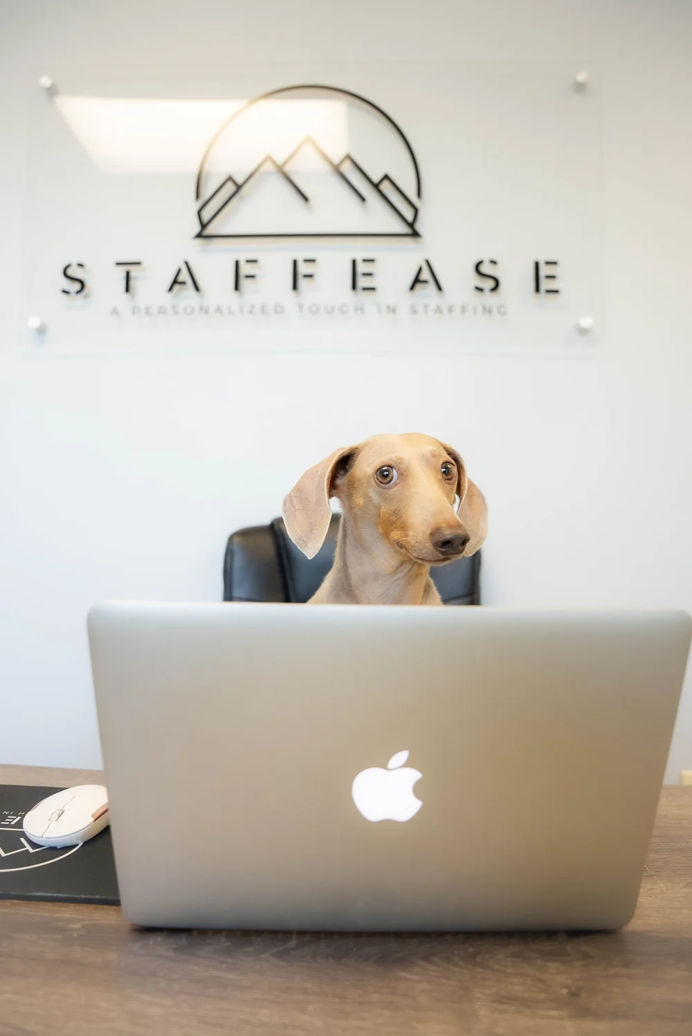 About Us — StaffEase: A Personalized Touch in Staffing