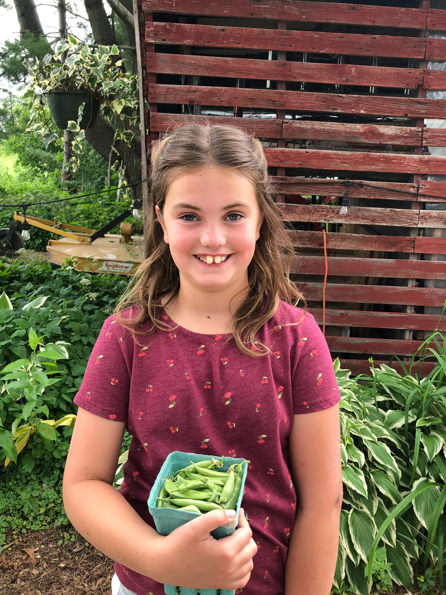 Kids Summer Farm Camp — Sprouting Acres Farm & Pizza — Events
