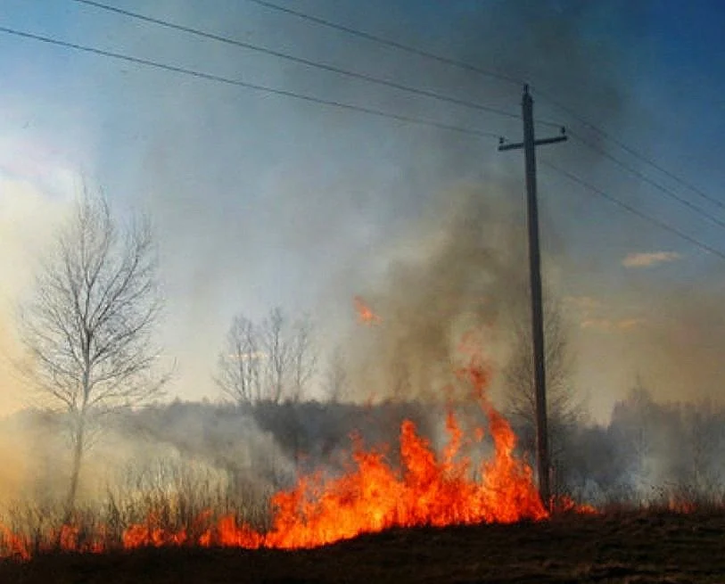 Fire Barrier Technologies, LLC - Fire Barrier Technologies