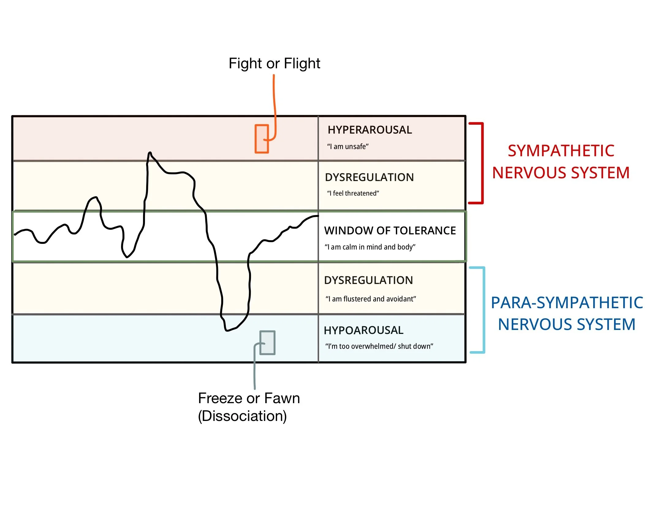 Window of Tolerance and Emotional Resilience — Surratt Psychology