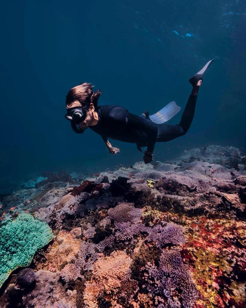 Freediving, Dopamine & Ocean Therapy — The Fluid Focus