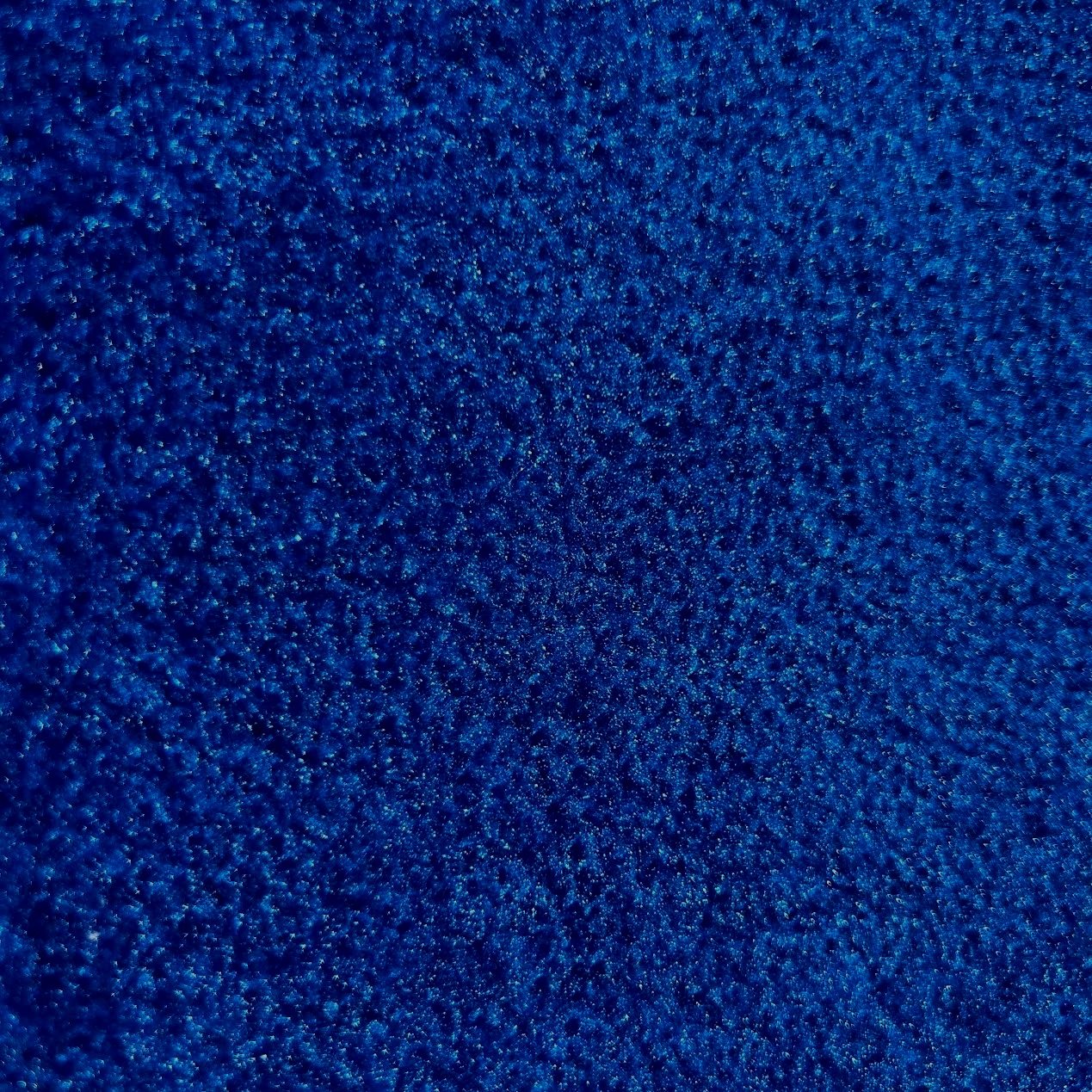 Carnival — Event Carpet Pros, Inc.