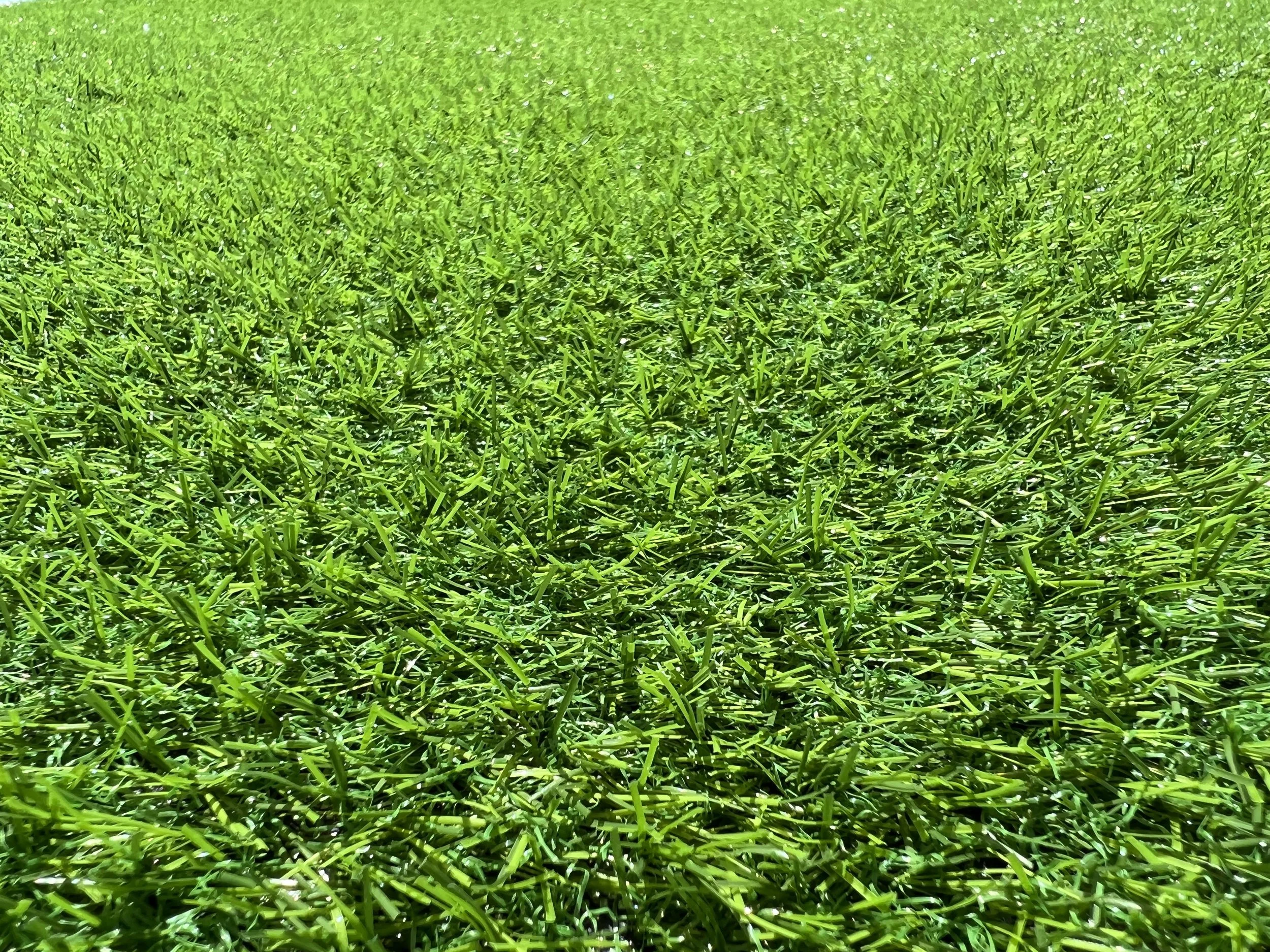 Lawn Grass — Event Carpet Pros, Inc.