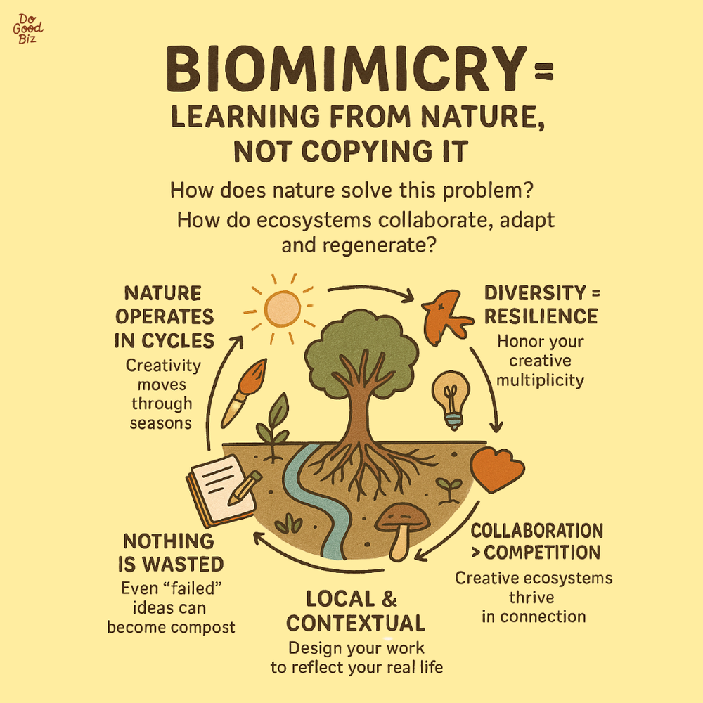 Nature’s Blueprint: A Guide to Biomimicry and Decolonized Creativity in ...