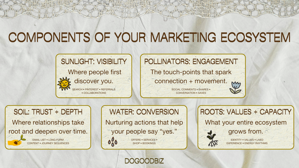Transform Your Marketing with Ecosystem Mapping — Do Good Biz Studio
