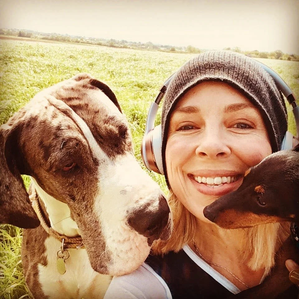 Blog: Baubles, Broken Presents & a Deadly Chocolate Orange — Sally-Anne Martyn | Author of Dark ...