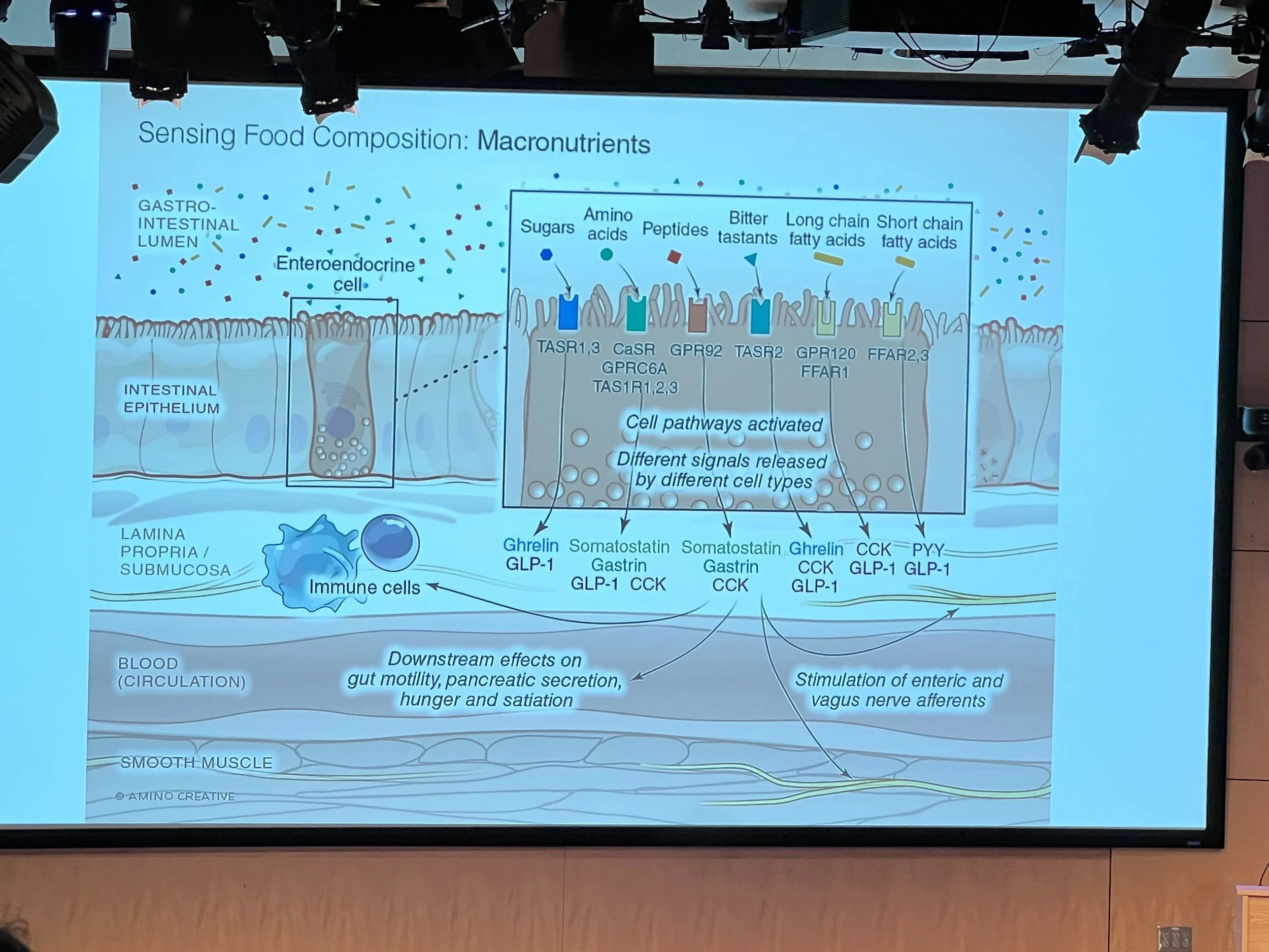 Food Allergy Science Initiative Symposium — Cornell Joan Klein Jacobs ...