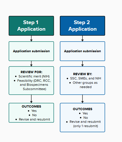 NPH - Supplemental Studies Flow Chart — Cornell Joan Klein Jacobs ...
