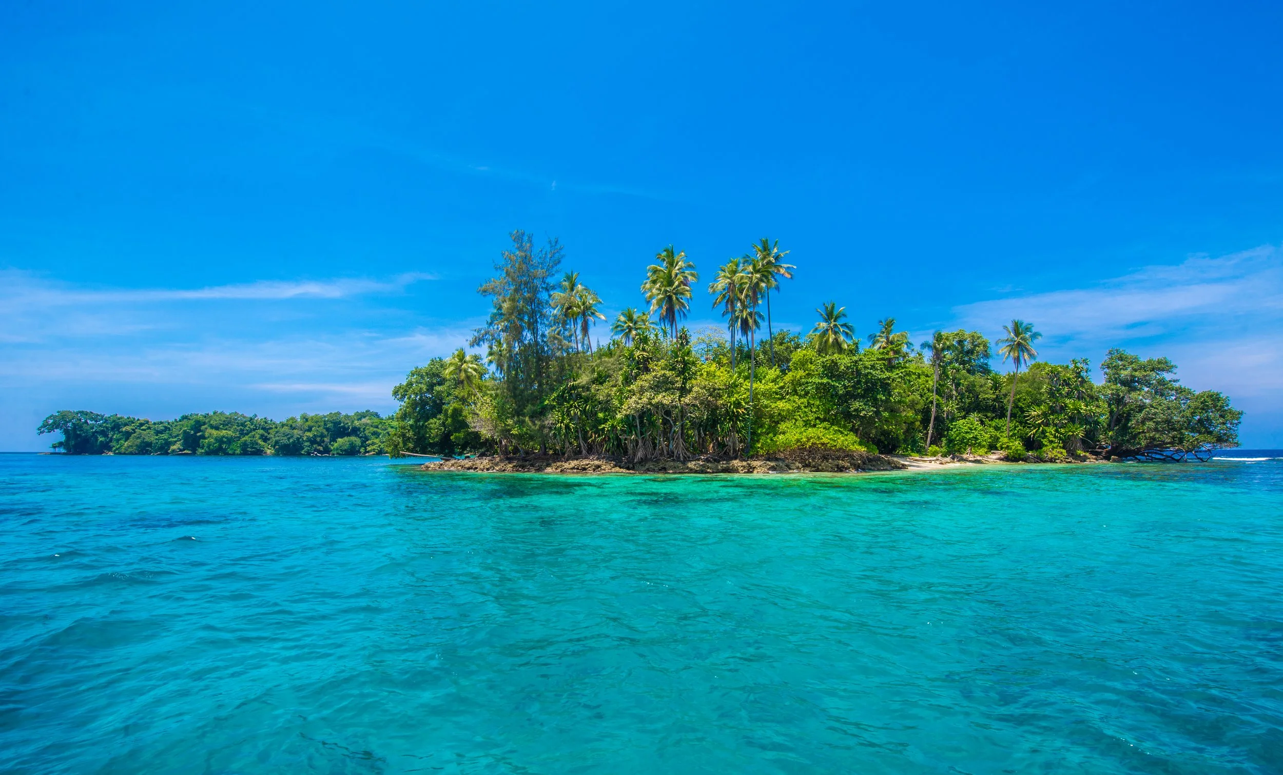 Our Story — Niugini Dive Adventures