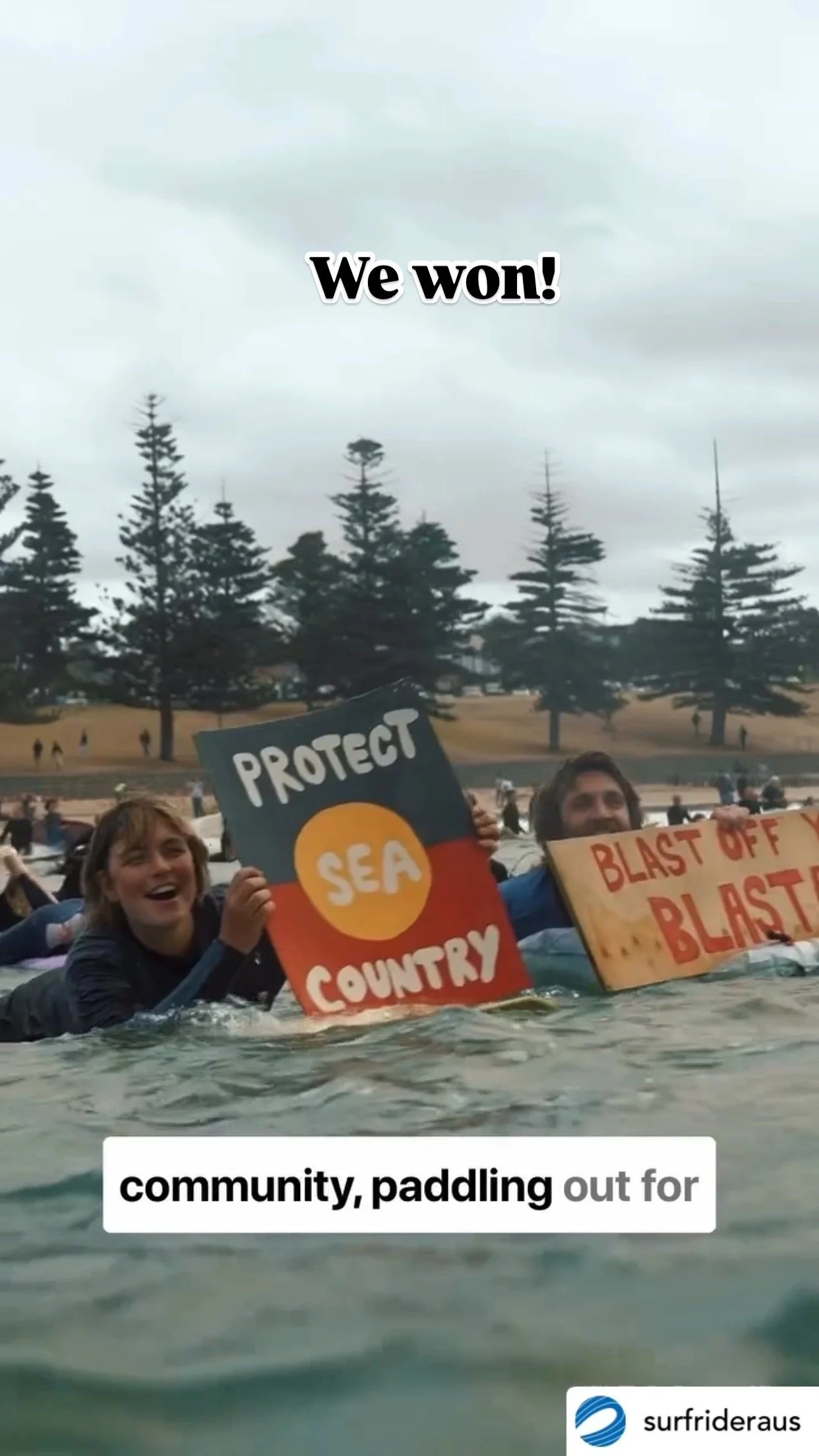 Wilder Country — MARK SMITH